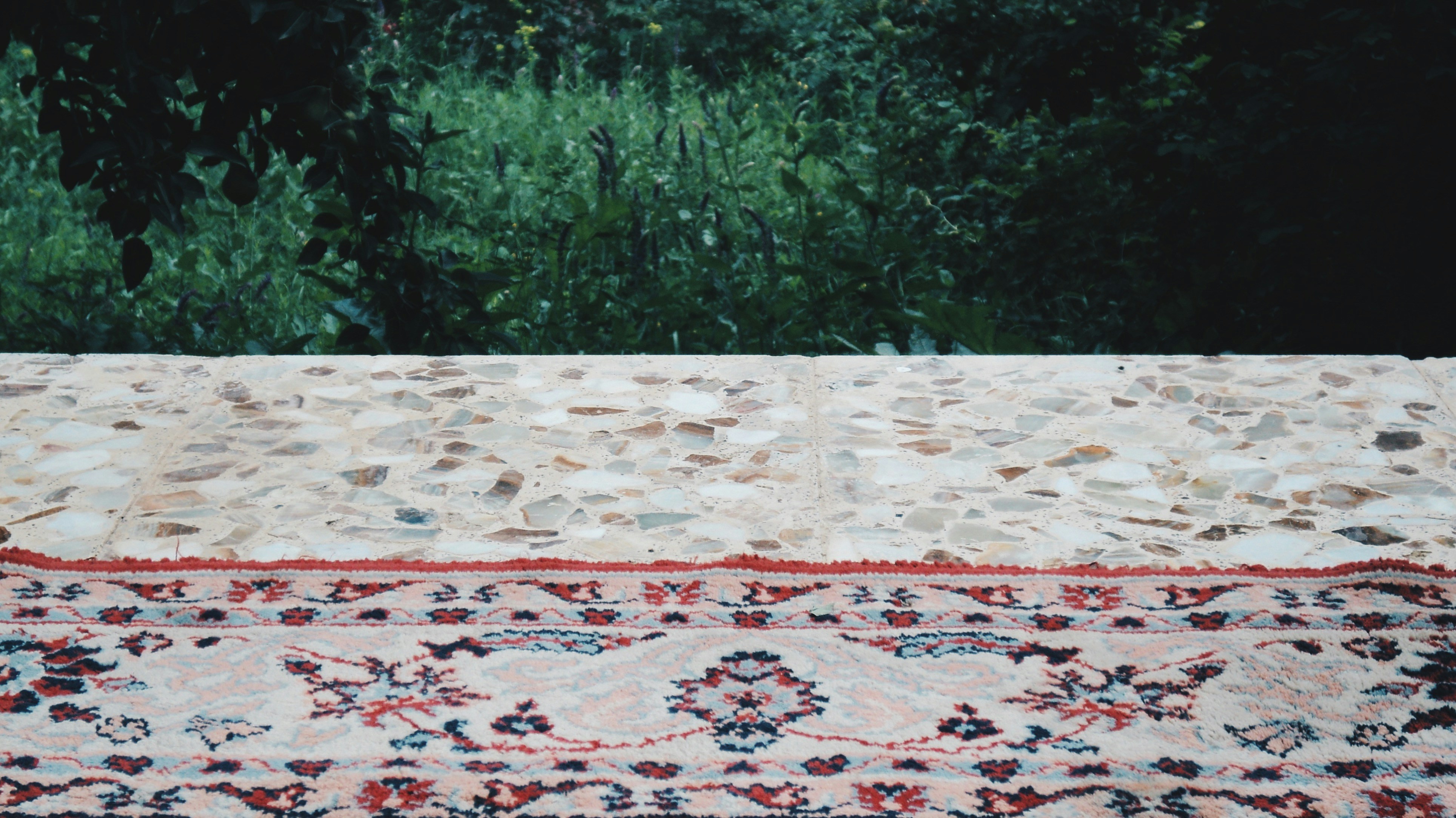 A study in textures. | Green foliage above a patterned rug