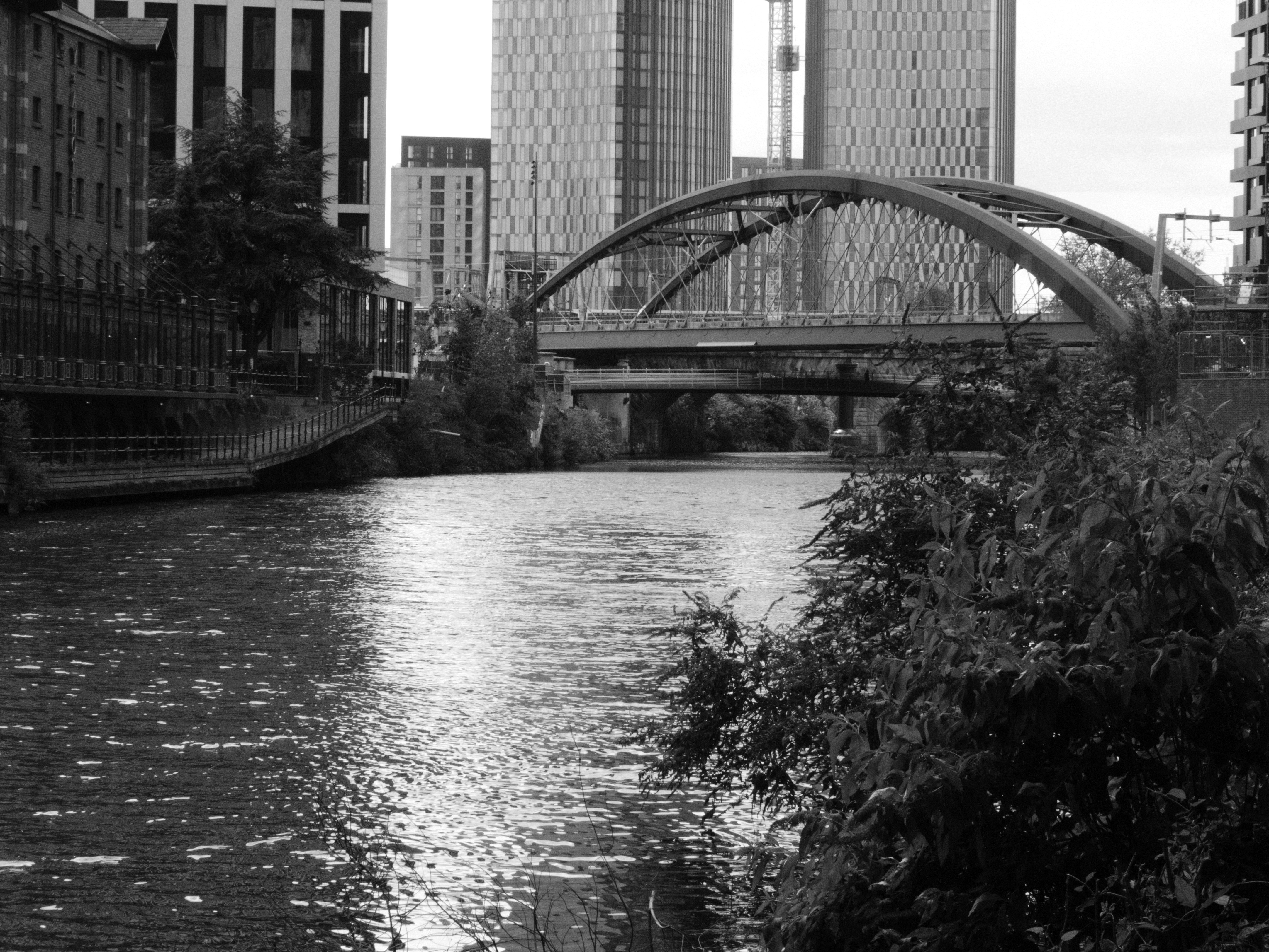 A modern bridge arches over a tranquil river, framed by urban buildings and lush greenery along the banks.