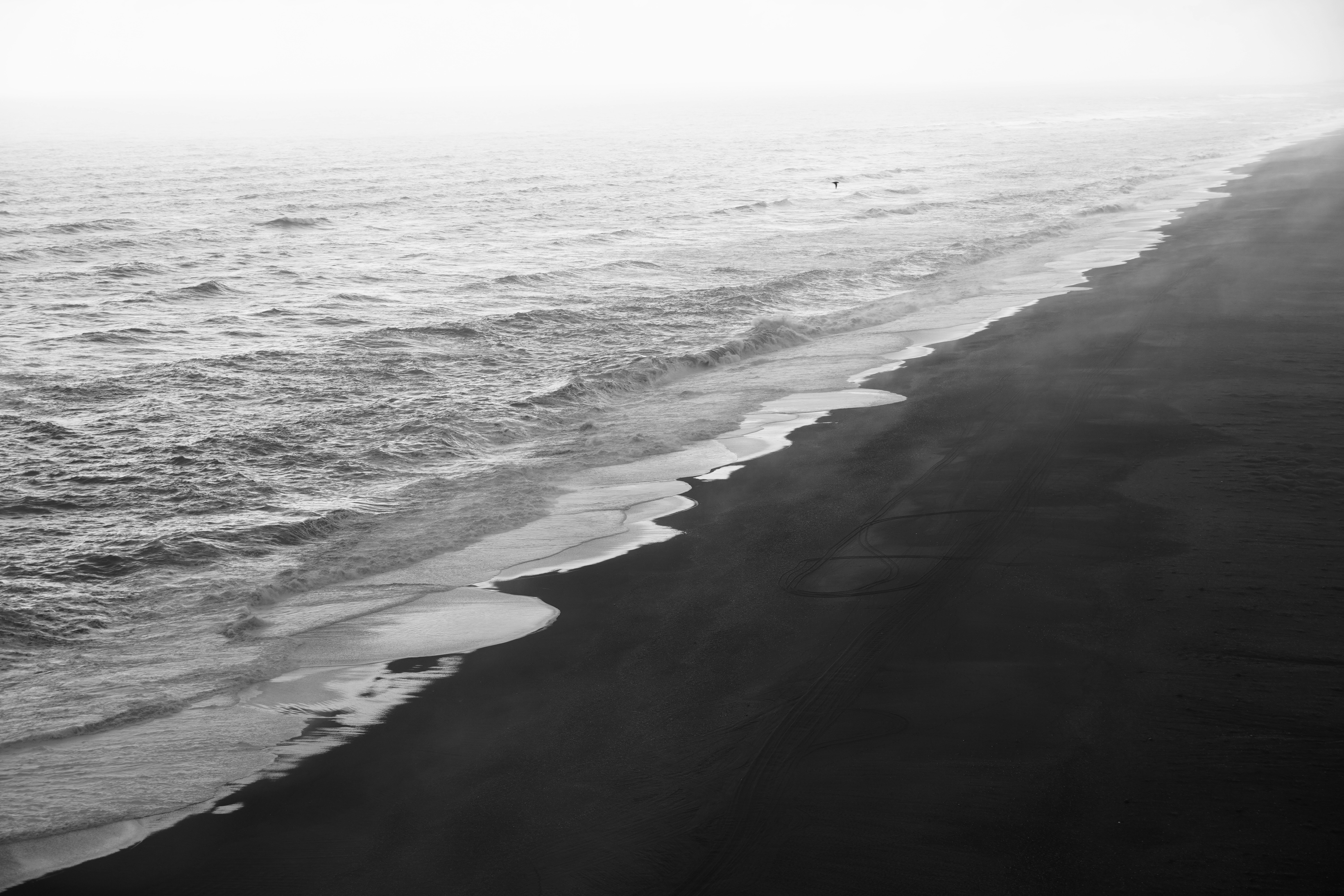 Gentle waves caress a dark shoreline, creating a serene contrast in a monochromatic landscape.