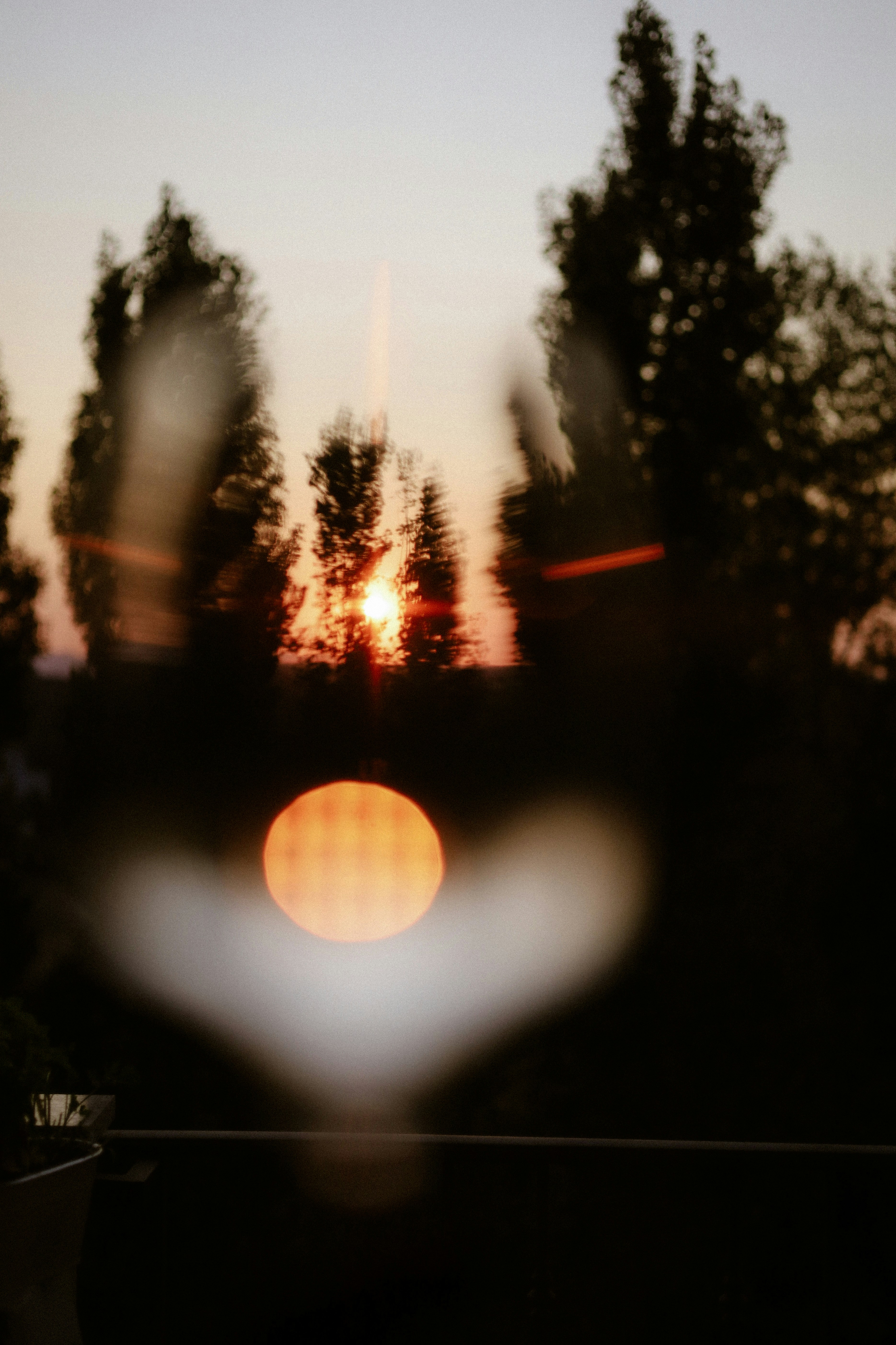 Sunset seen through trees with a blurred foreground photo – Free ...