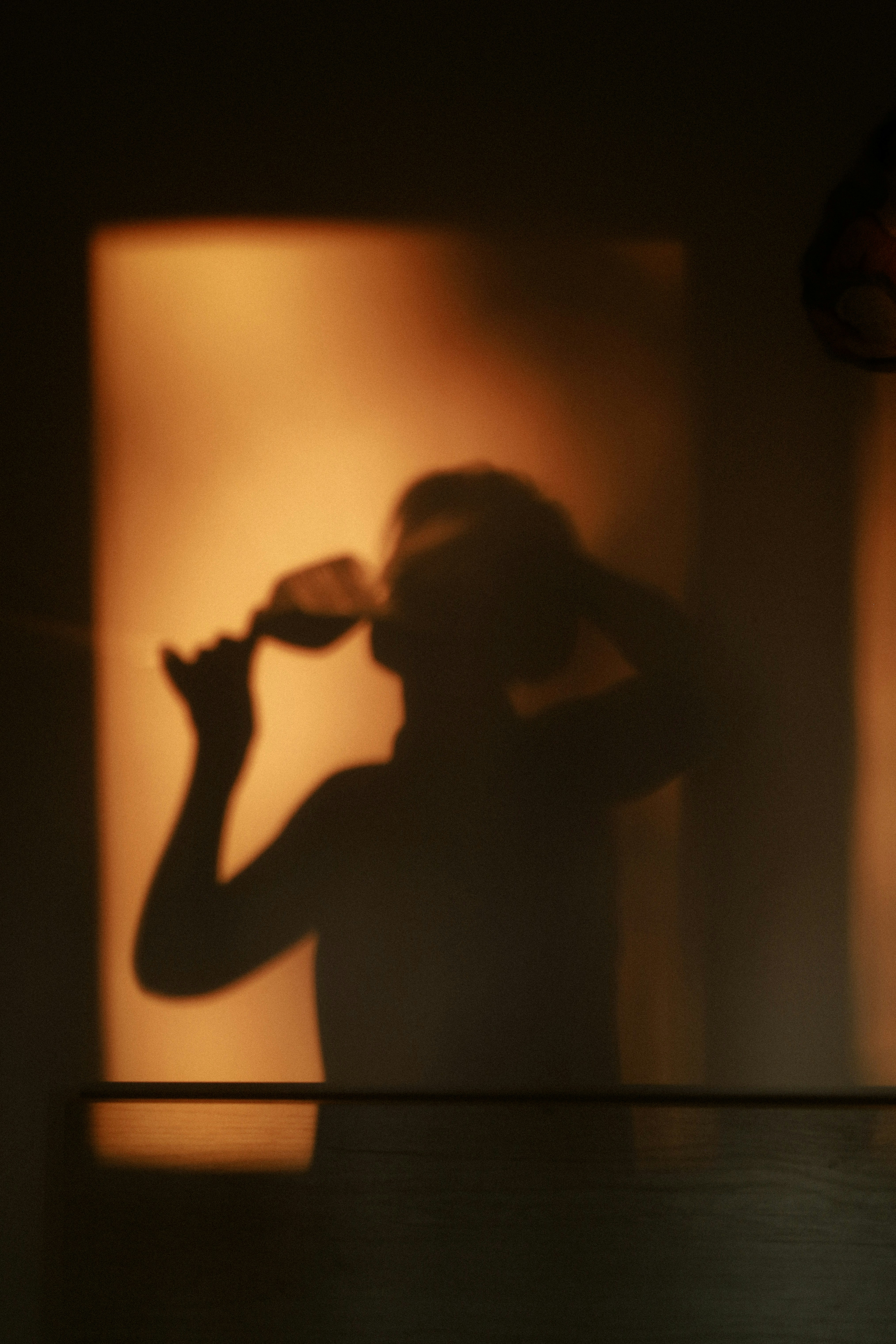 Silhouette Serenade: A Dance of Shadows