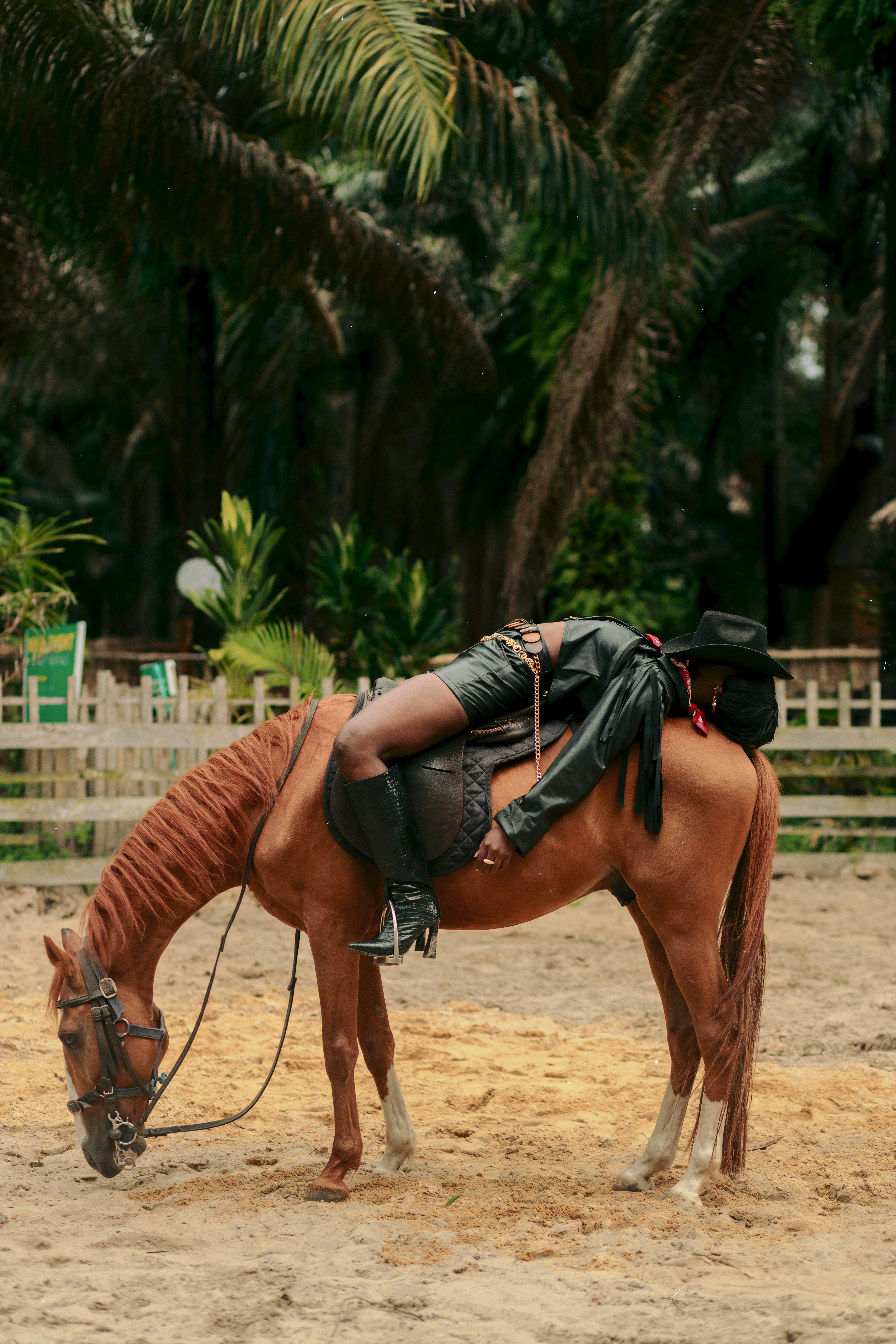 Equestrian Elegance: A Moment of Connection
