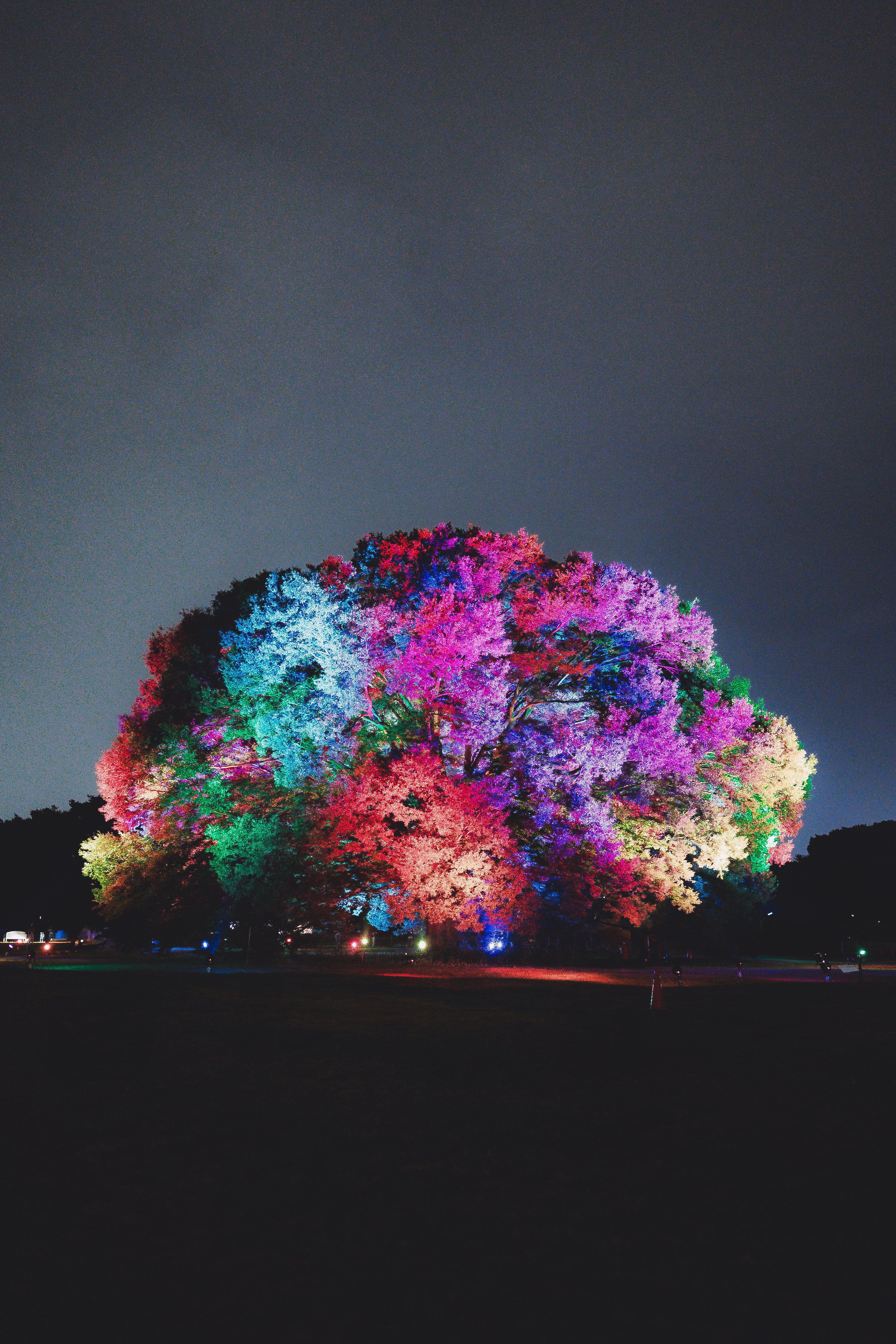 Luminescent Canopy: A Nighttime Transformation