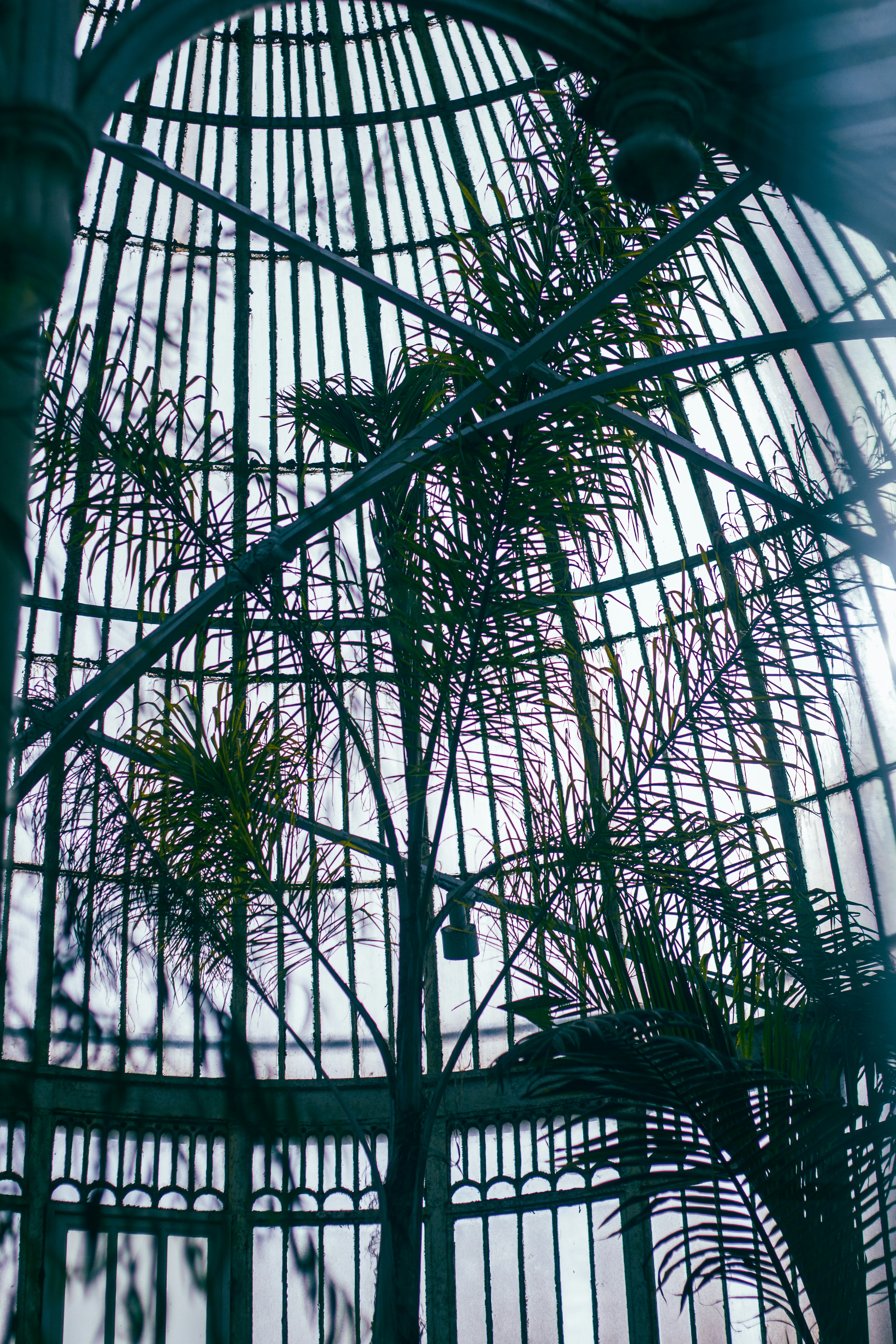Nature's Embrace Within Architectural Elegance