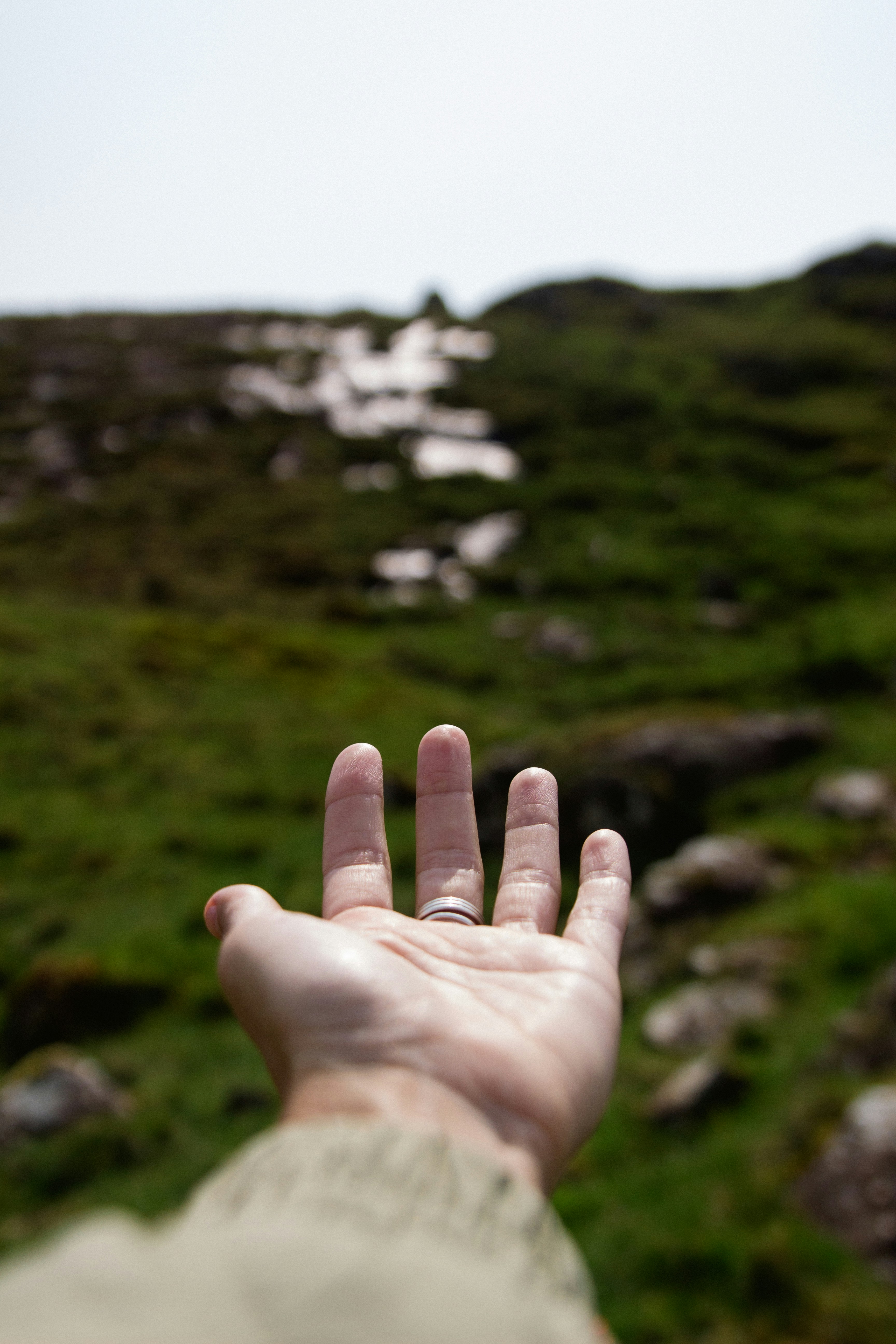 A Gesture Towards Nature's Embrace