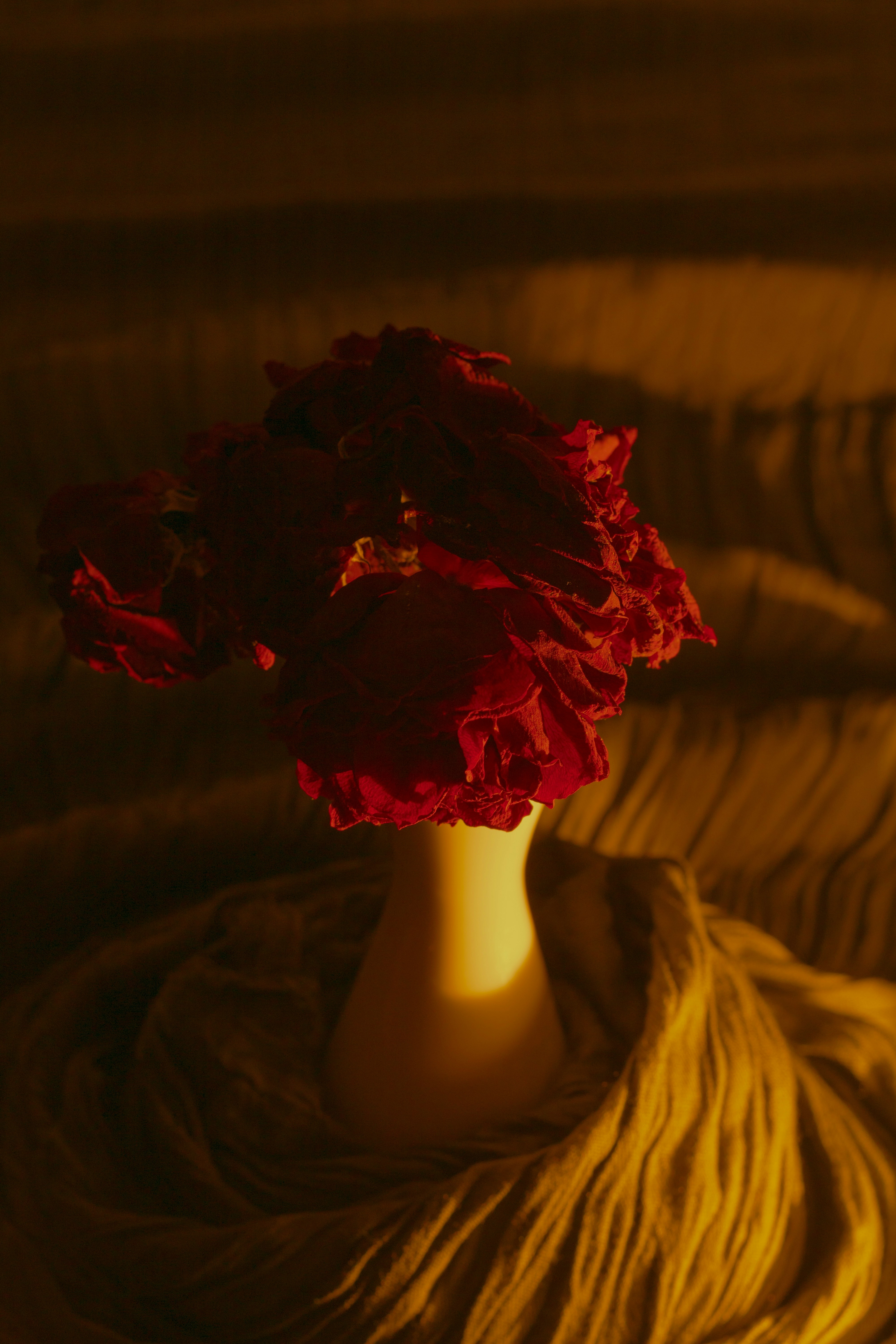 Love is only one of the expressions of a flower.. | A bouquet of red flowers in a white vase.