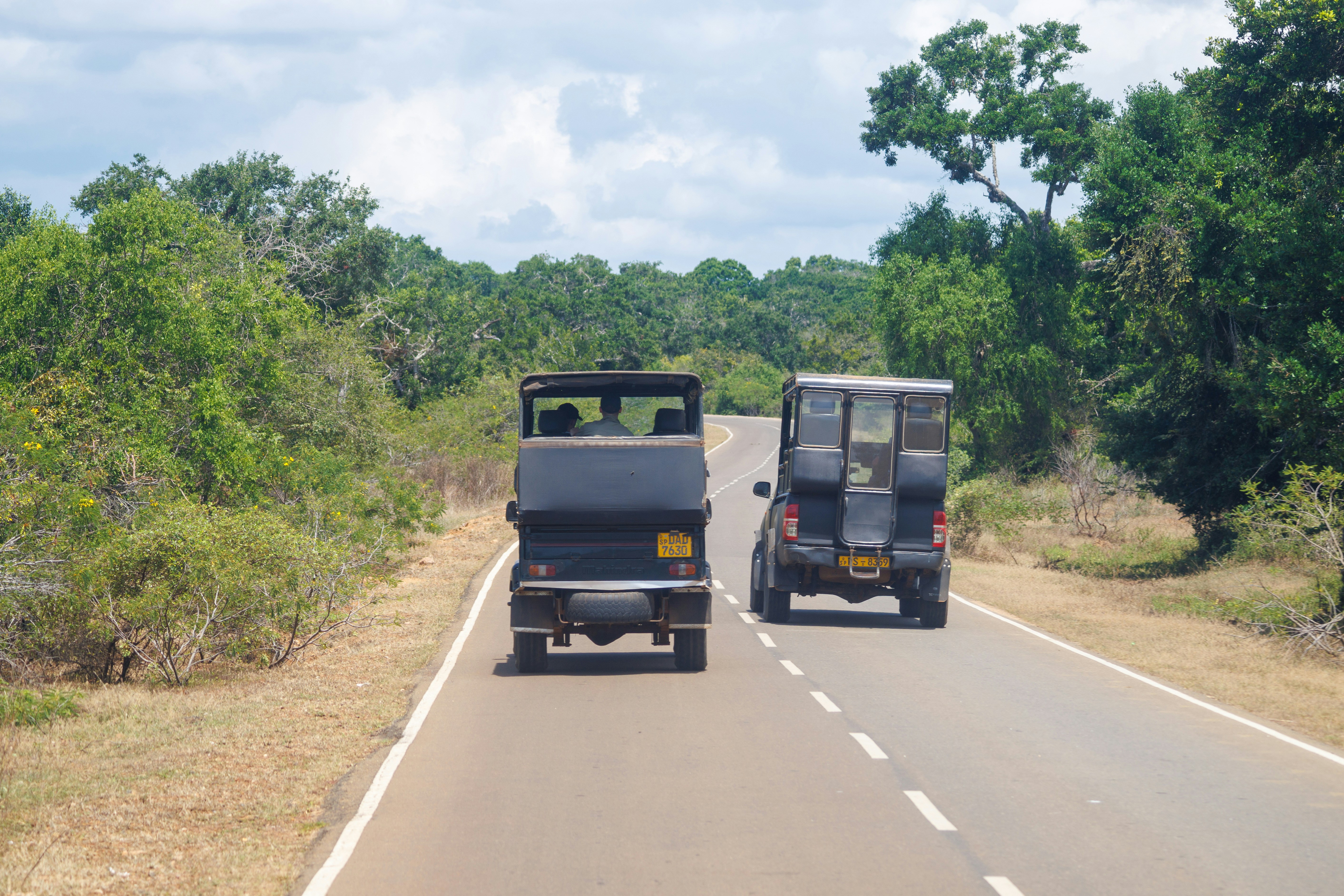 Two dark vehicles drive on a road through trees.