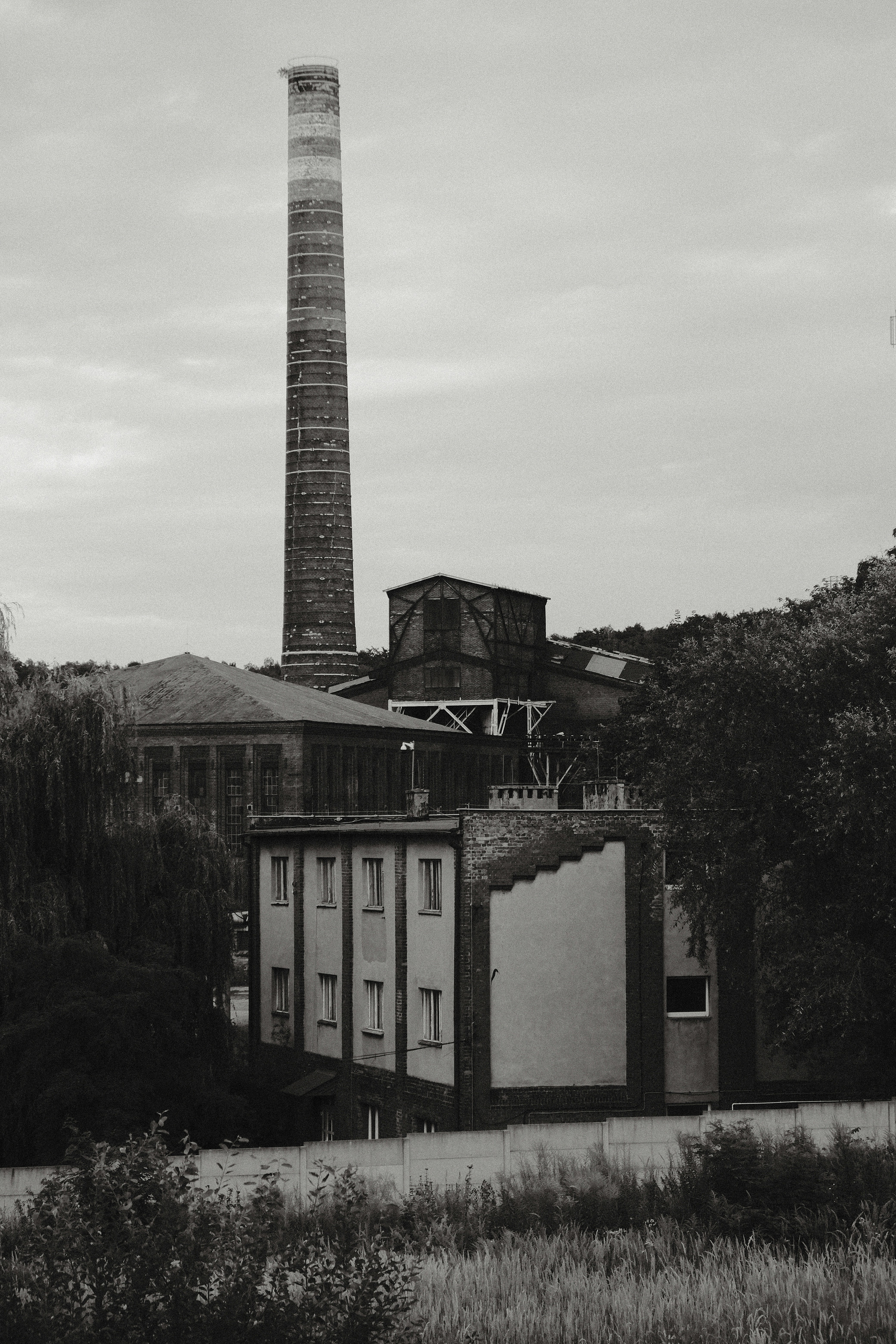 A tall, weathered smokestack rises above an abandoned industrial complex, surrounded by overgrown vegetation and remnants of the past.