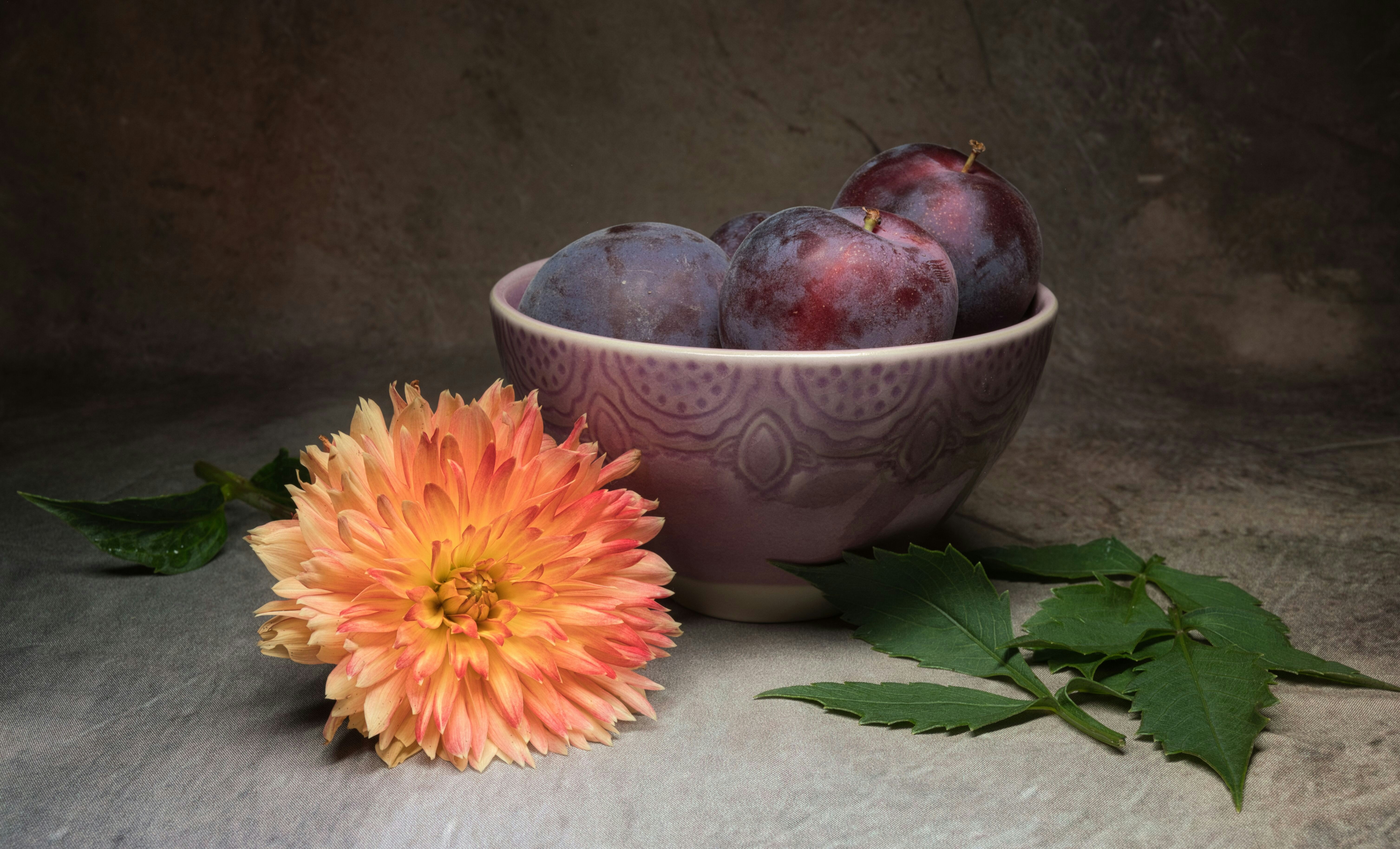 Harmony of Nature: A Still Life of Plums and Petals