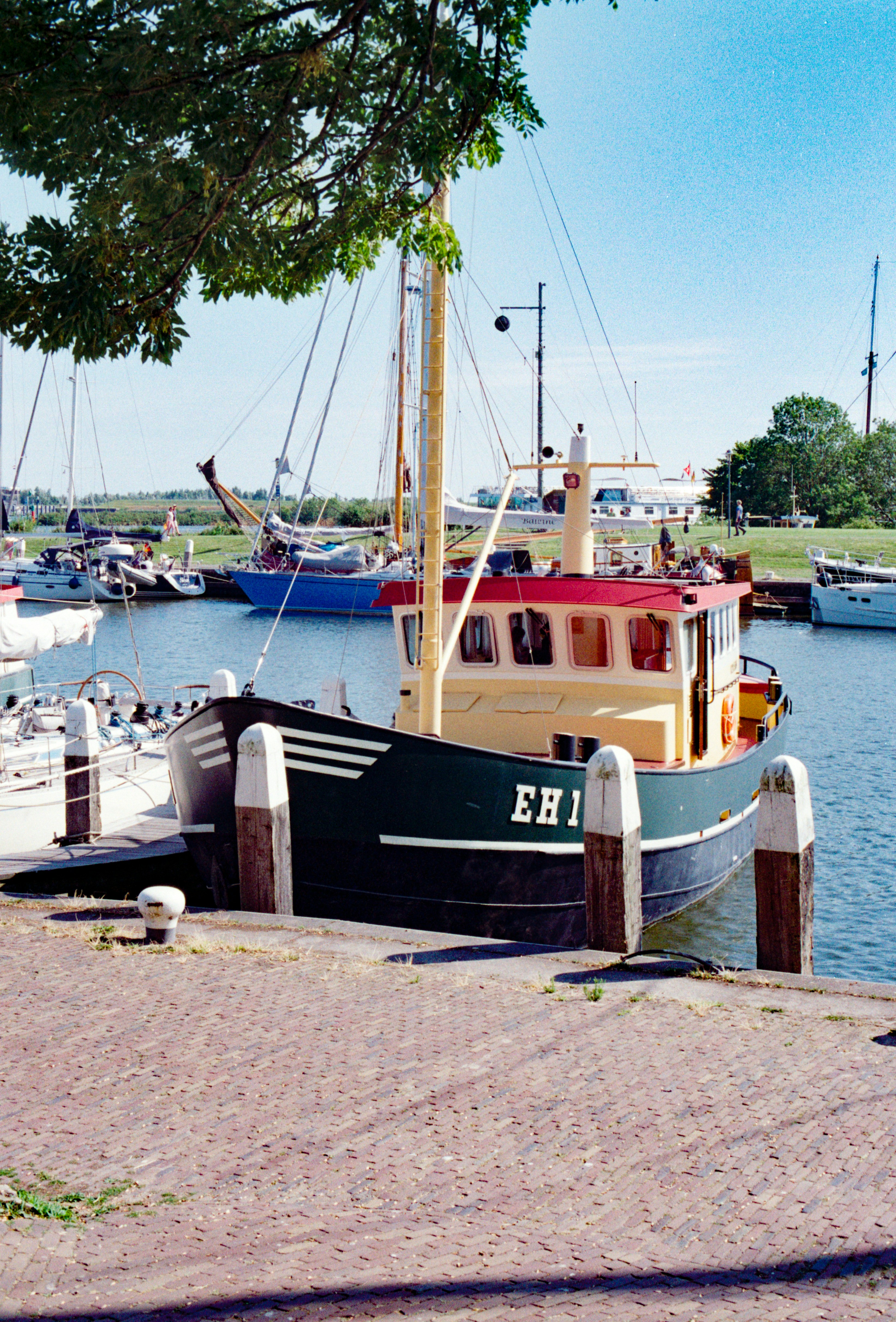 A vintage tugboat docked at a marina, surrounded by sailboats and lush greenery. The scene captures a tranquil moment in a bustling harbor.