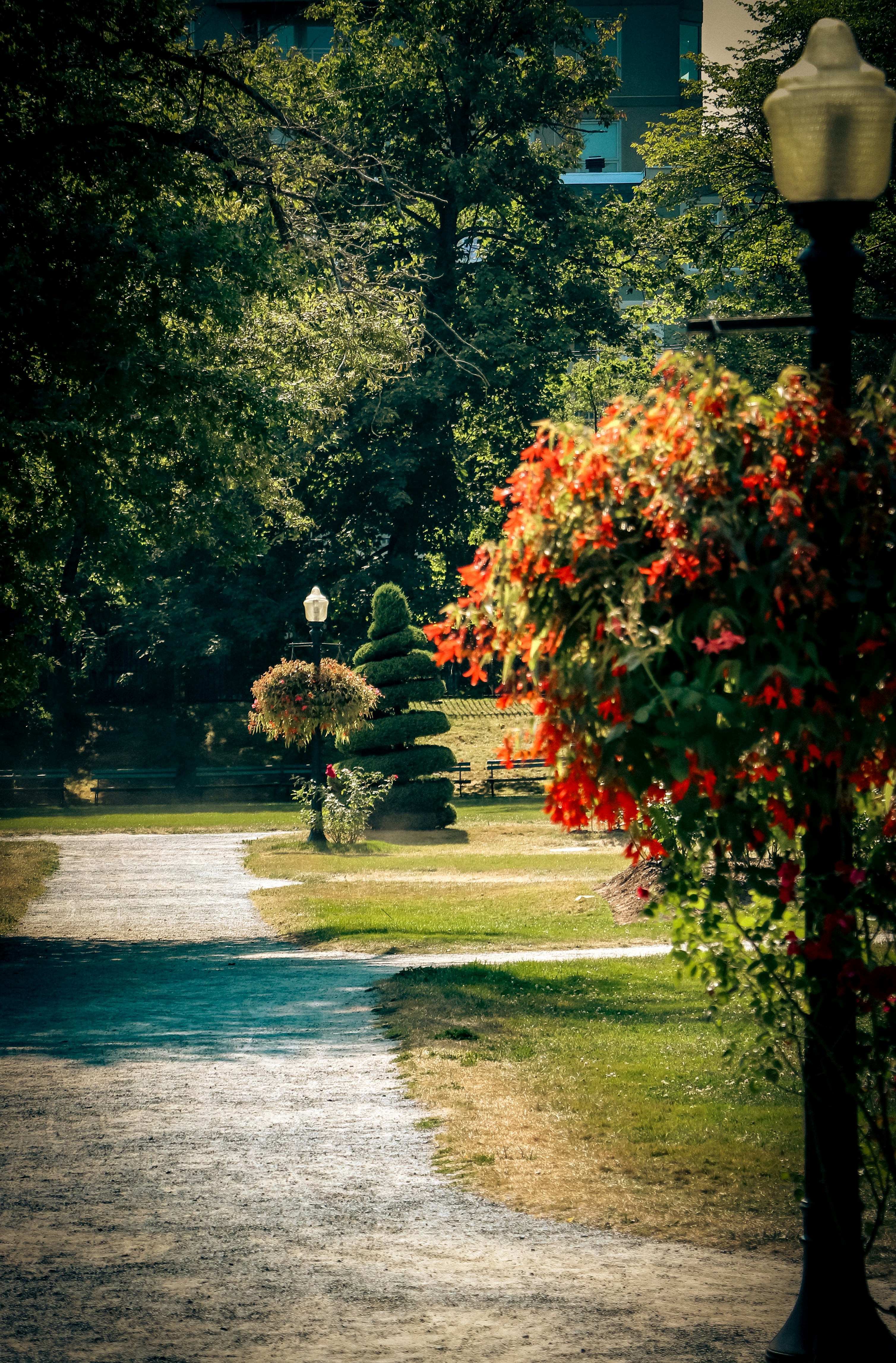 Lush garden pathway framed by vibrant hanging flowers and manicured topiary, inviting visitors to explore the serene landscape.
