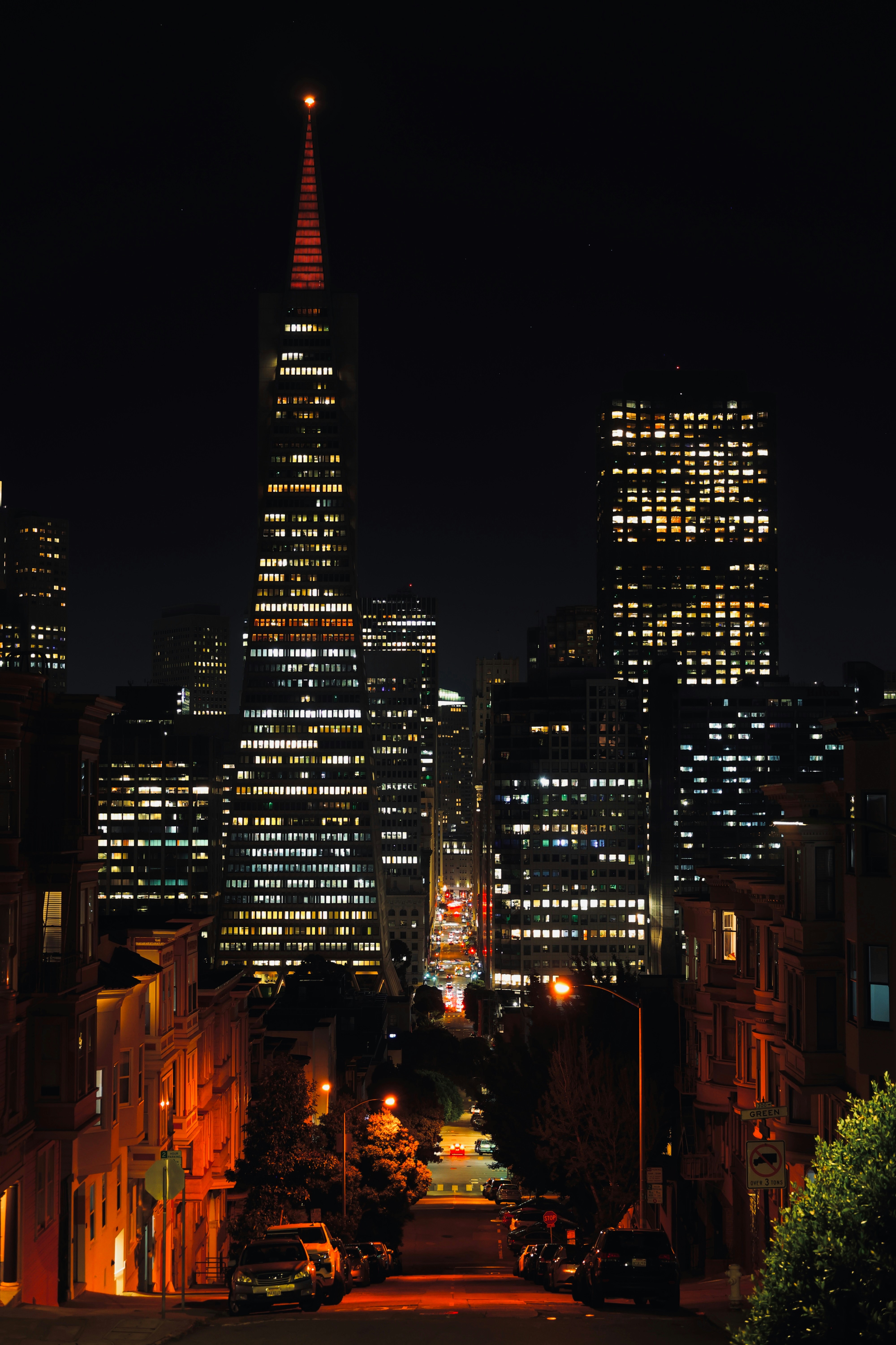 Urban Luminescence: A Night in the City