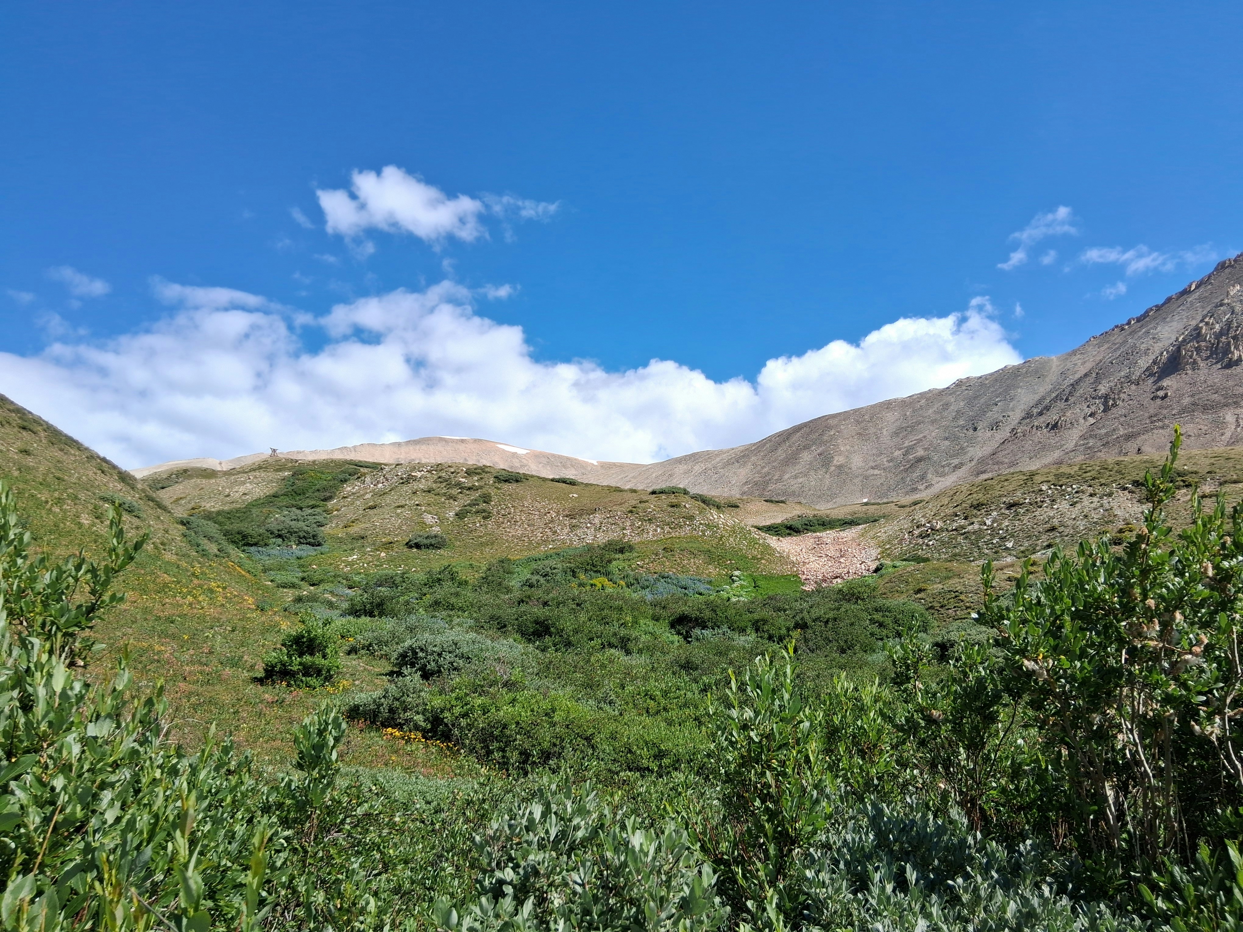 Lush green valley with mountains under a blue sky