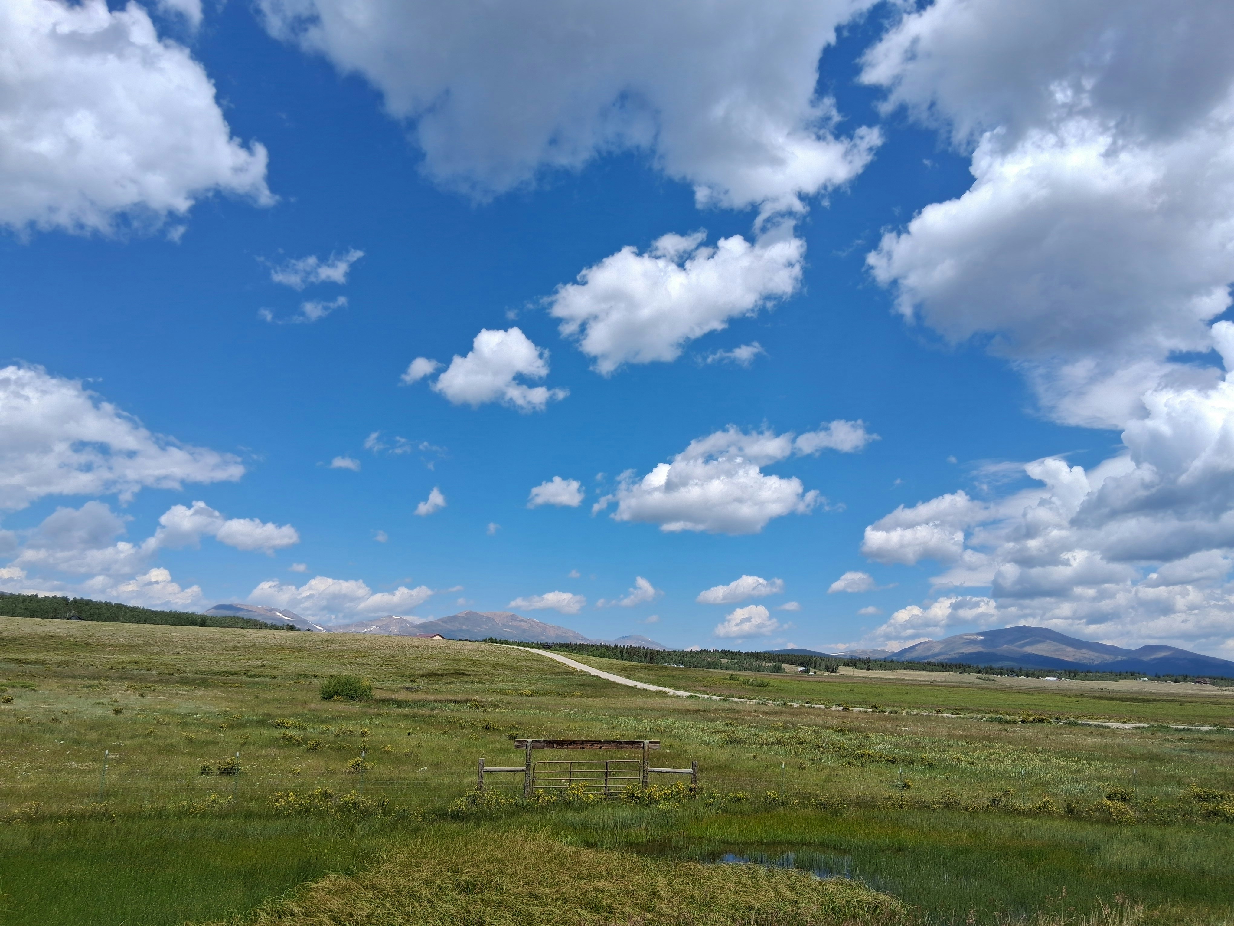 Lush green meadow stretches beneath a bright blue sky dotted with fluffy clouds, showcasing the tranquil beauty of nature. A dirt path leads into the distance, inviting exploration.