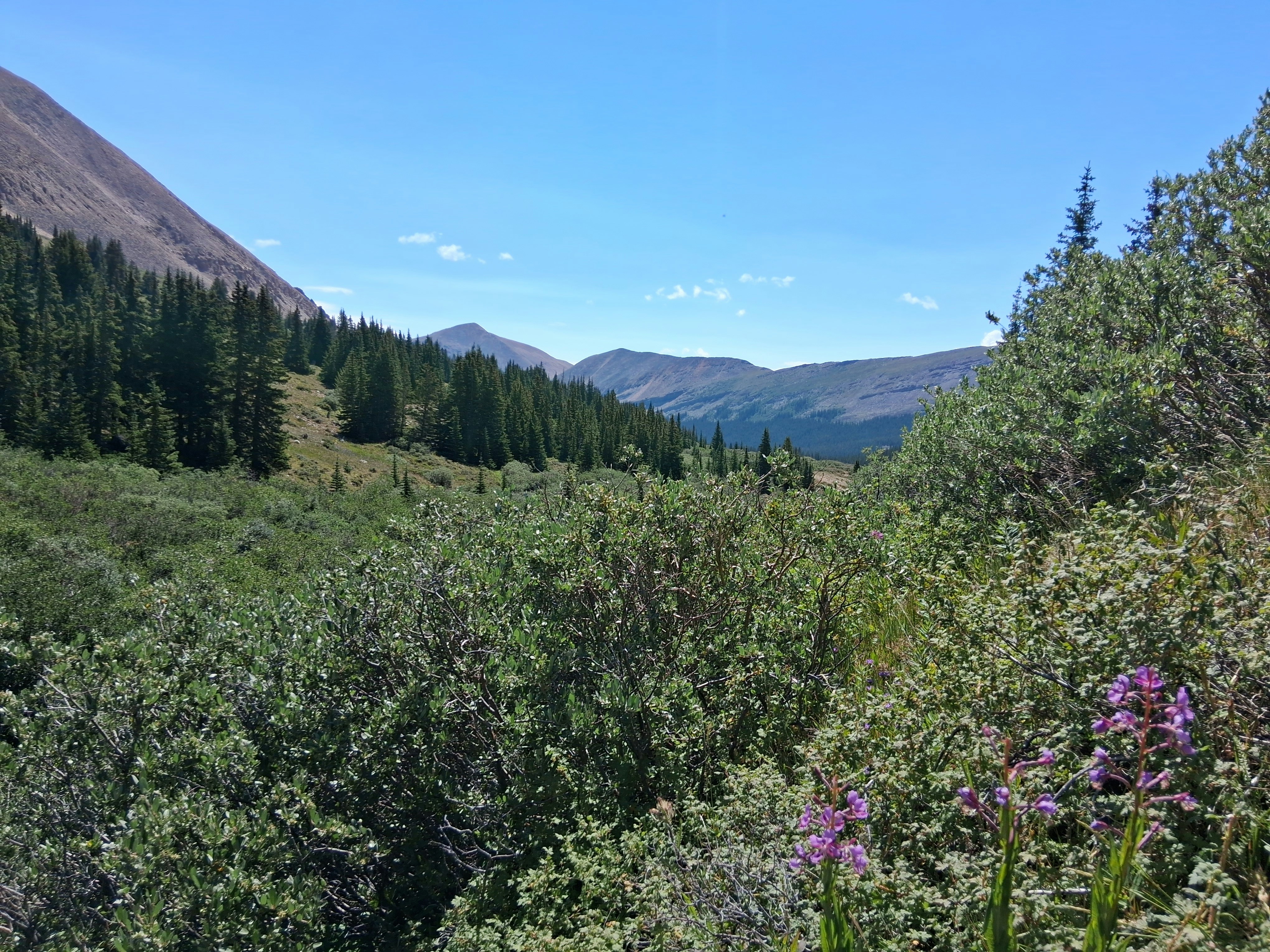 Lush green valley with distant mountains under blue sky