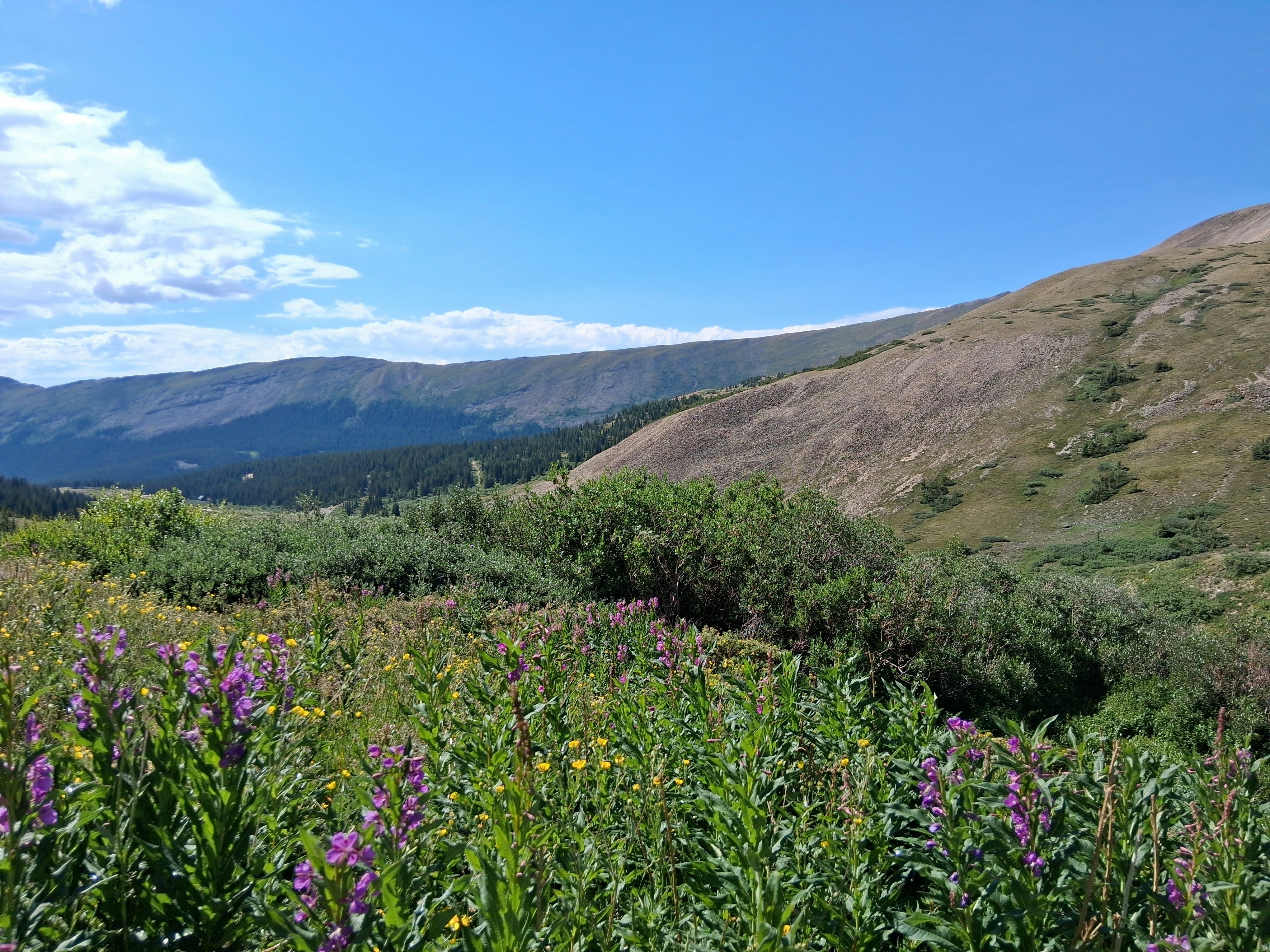 Sample photo from Samsung Galaxy A16