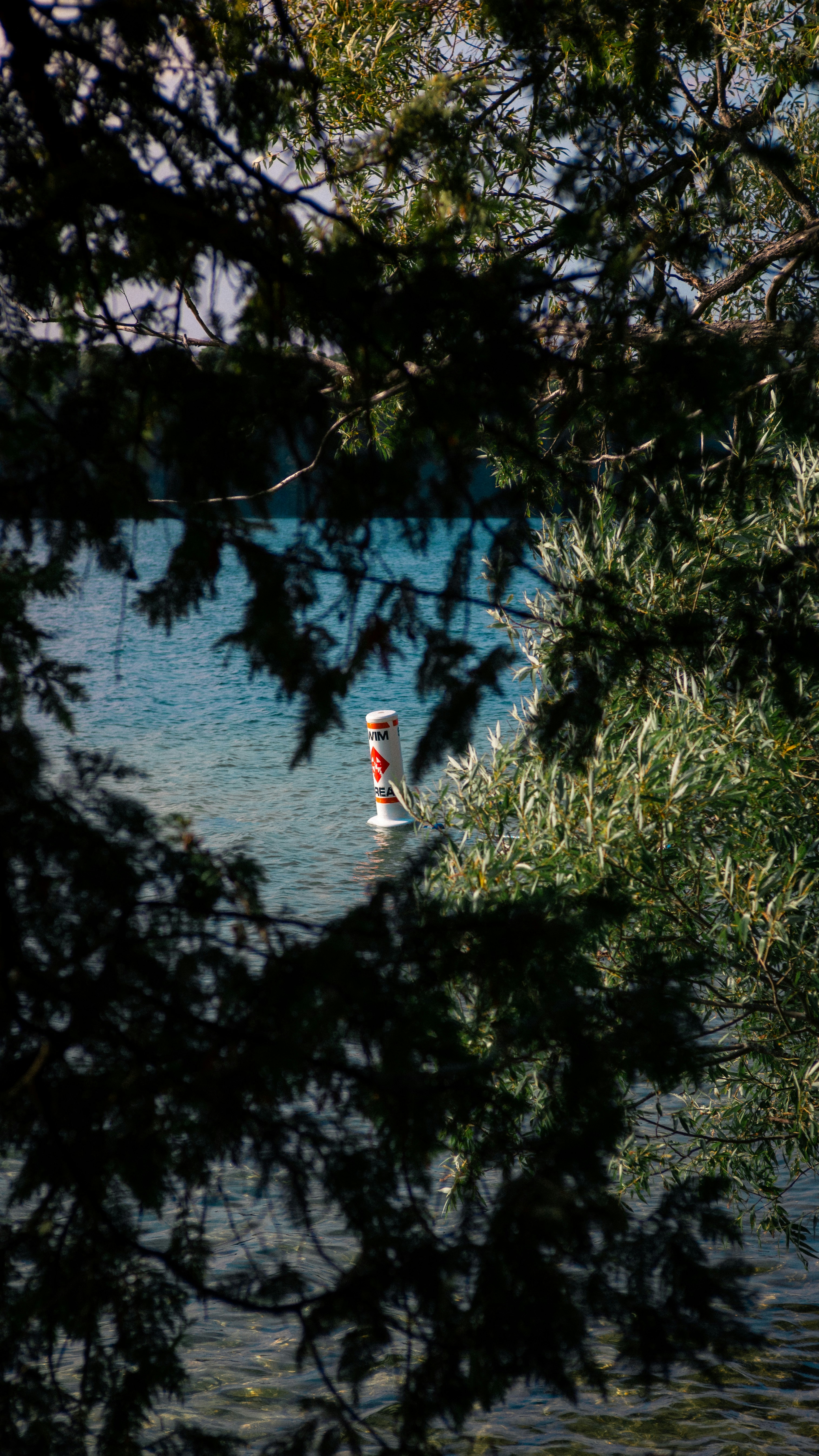 Navigational Beacon Amidst Nature's Embrace