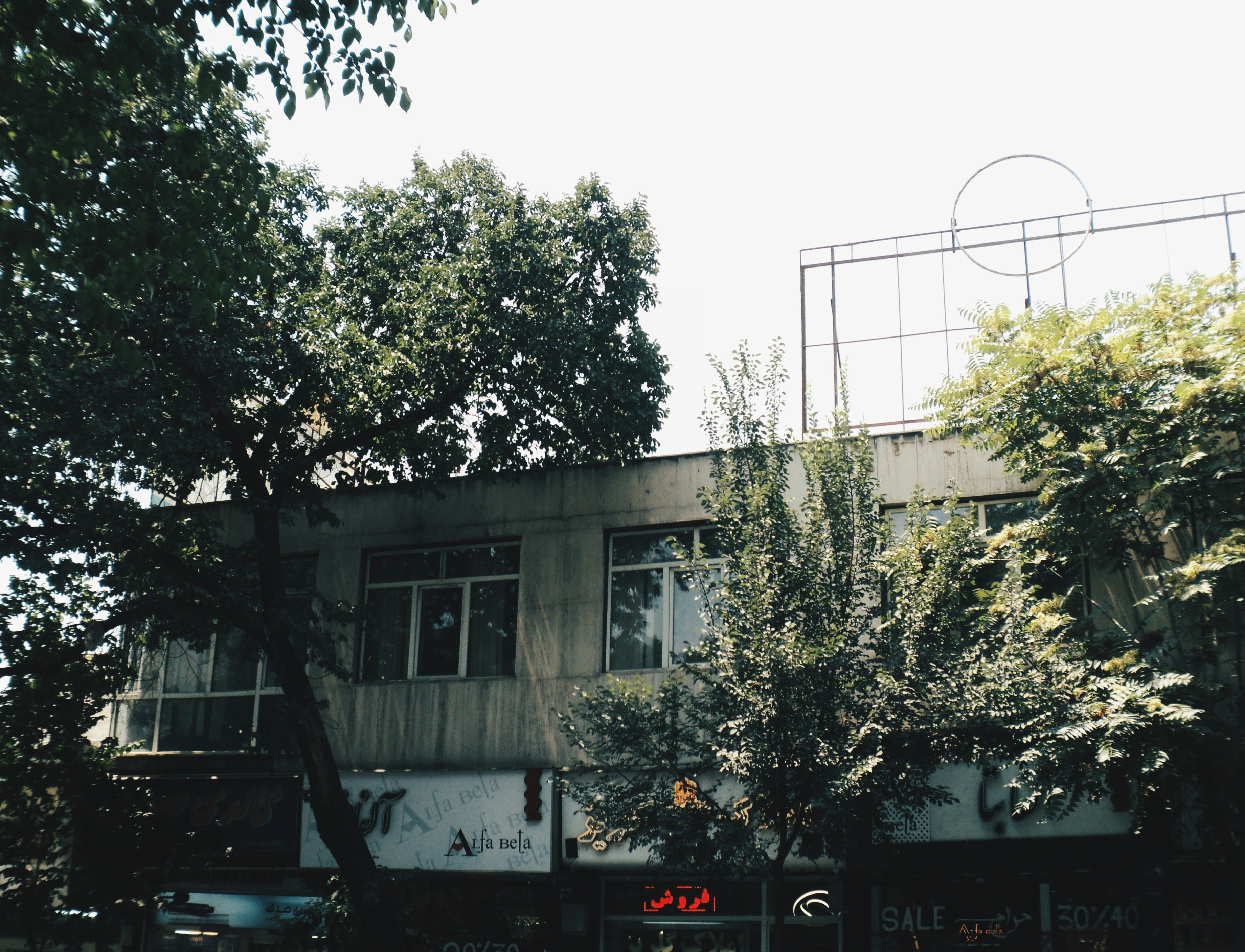 The beautiful, sleepy chaos of a summer afternoon. | Building with trees and a circular sign
