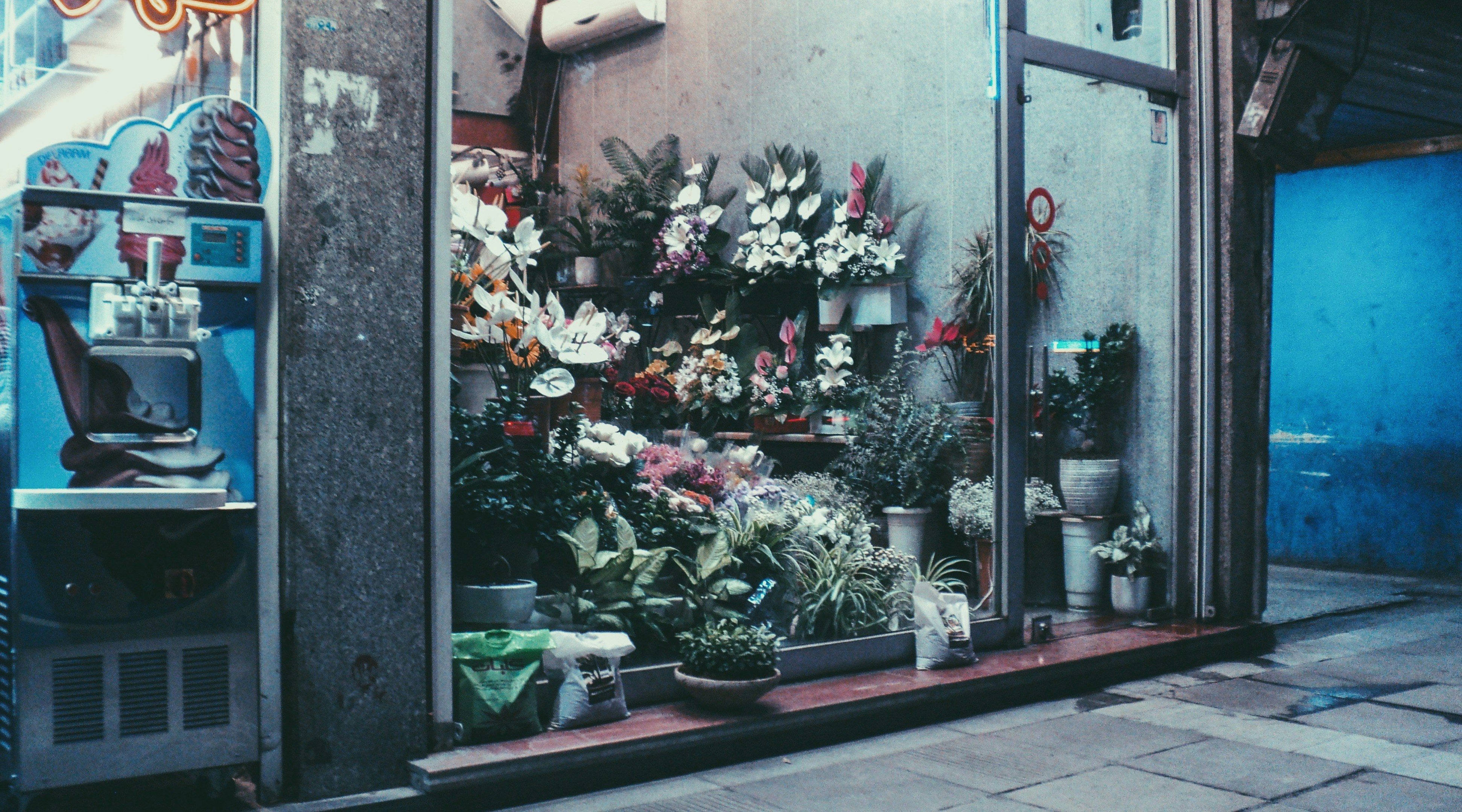 The most inviting window on the street. | Flower shop window display with various colorful blooms.