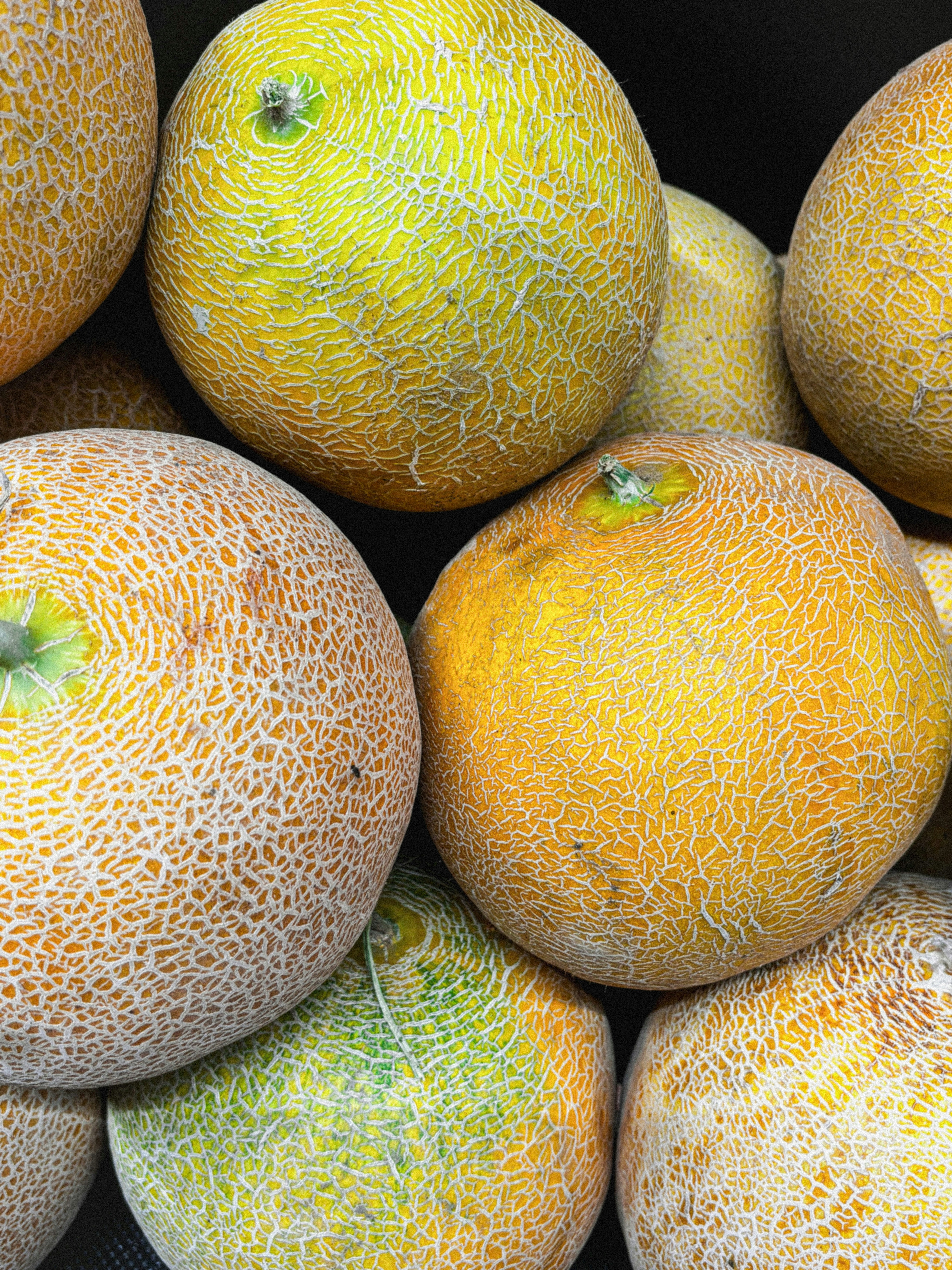 A close-up view of a cluster of melons showcasing their intricate skin patterns and vibrant colors. The unique textures create a visually appealing arrangement.