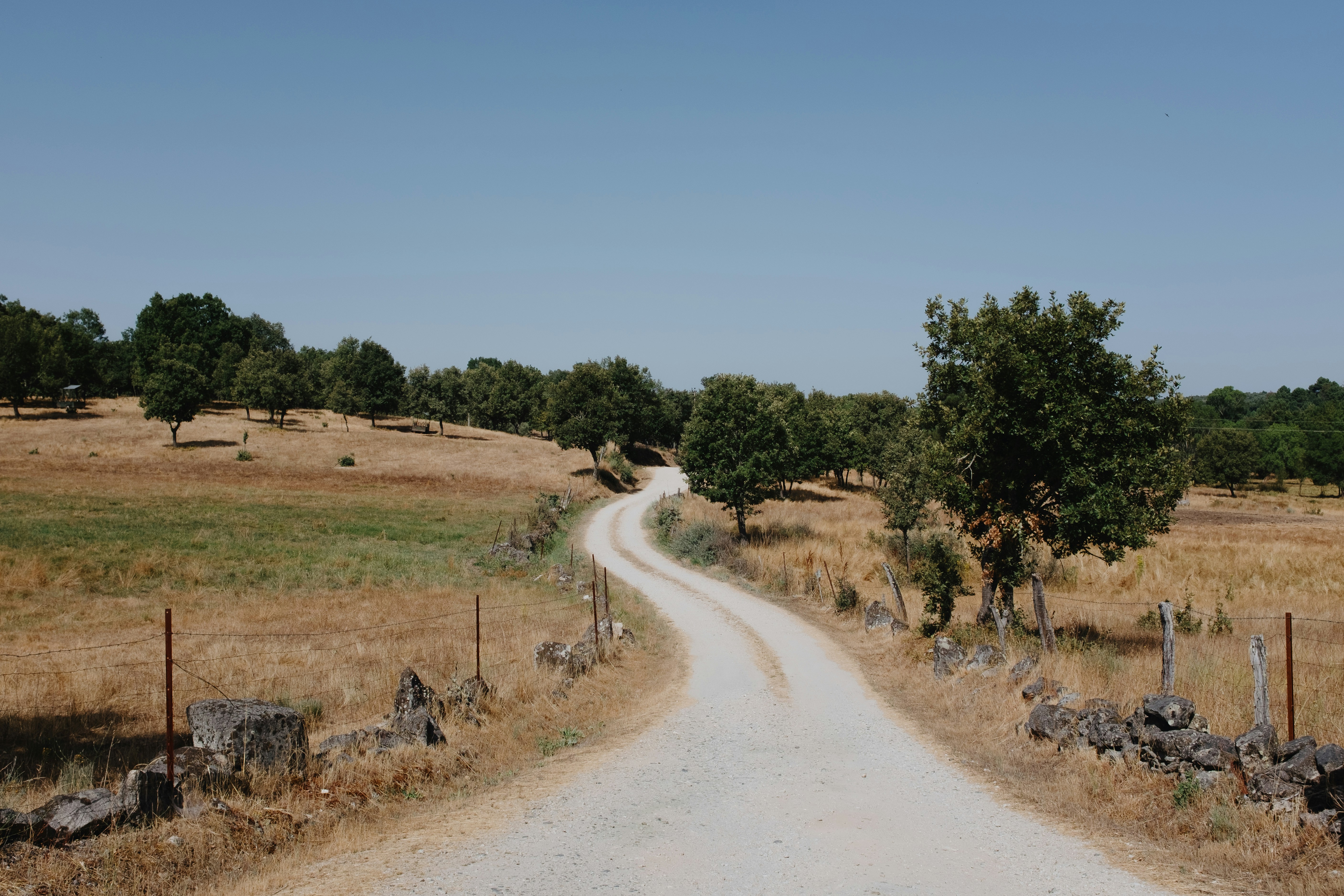 A winding dirt road through a dry, grassy landscape.