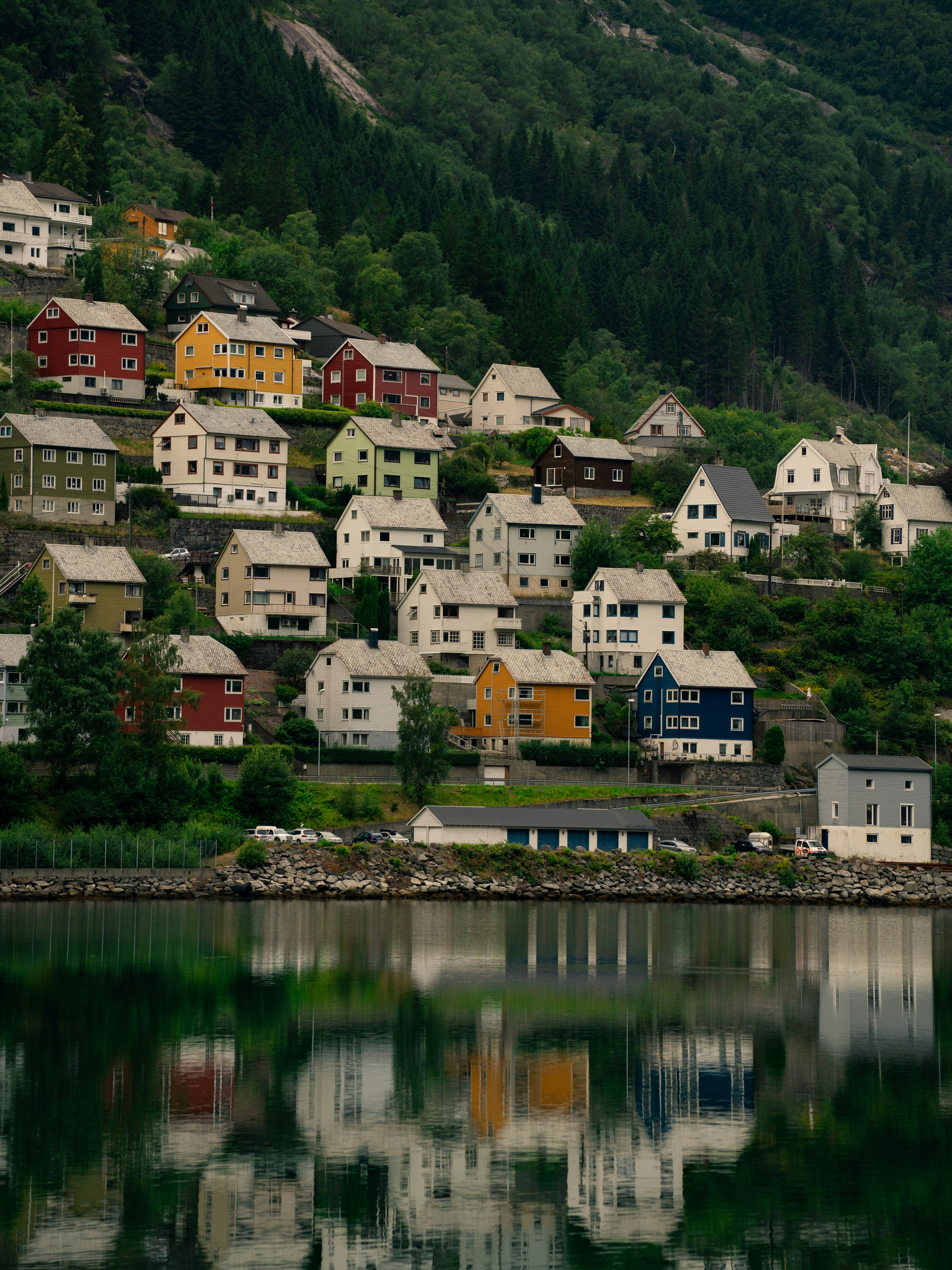 Odda city houses | Colorful houses on a steep hillside overlooking water