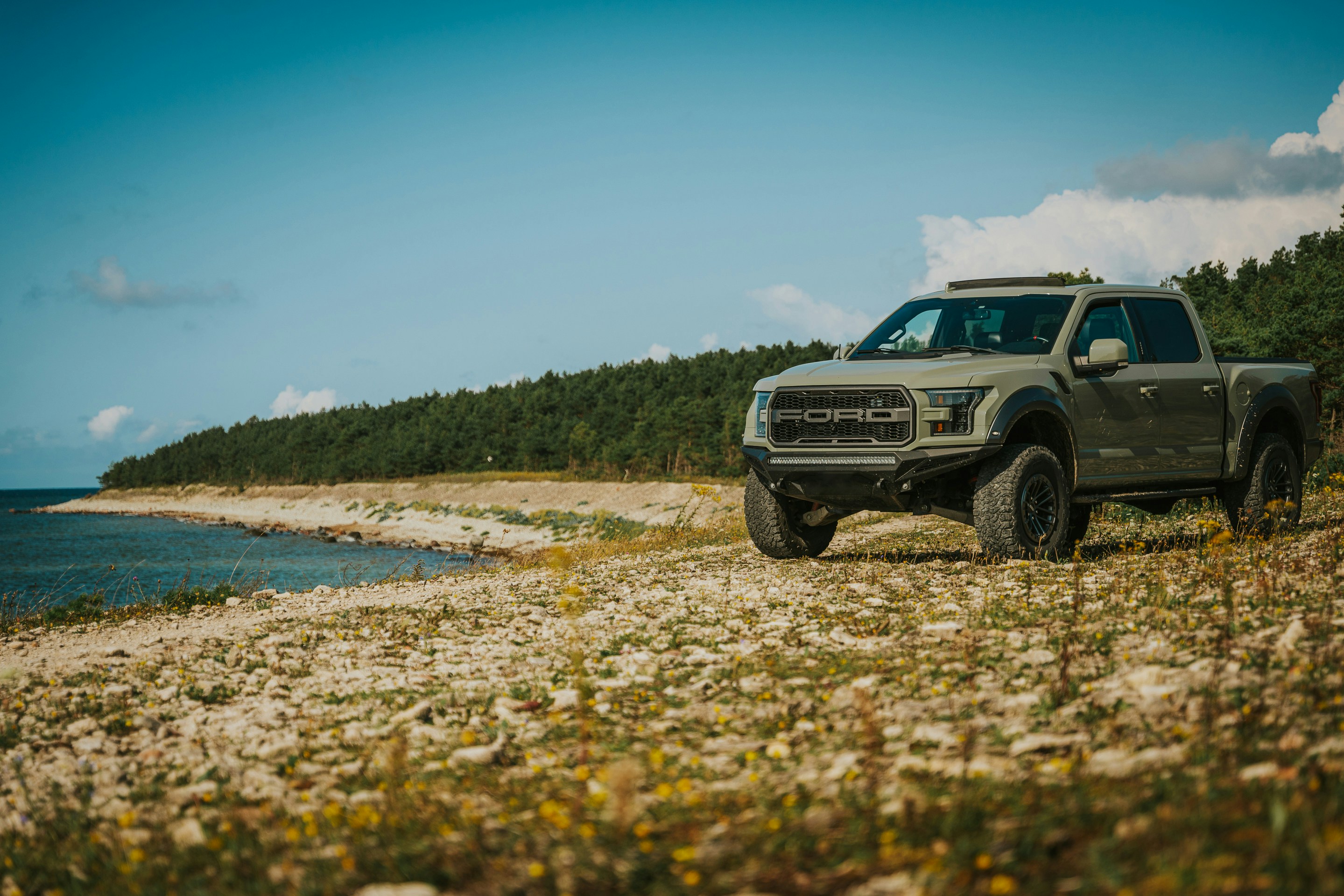 A rugged truck parked on a rocky beach with trees.