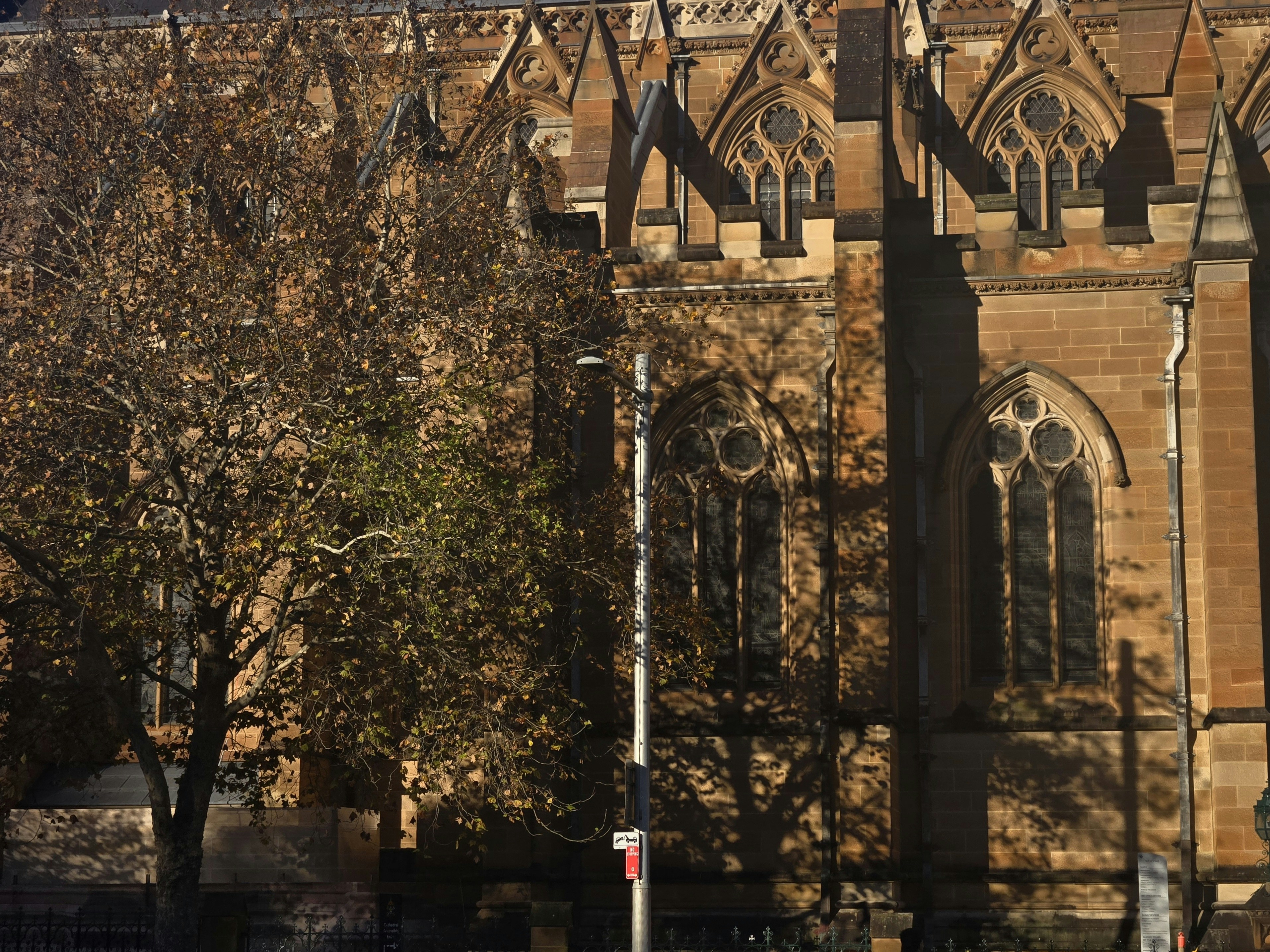 Gothic cathedral architecture with a bare tree