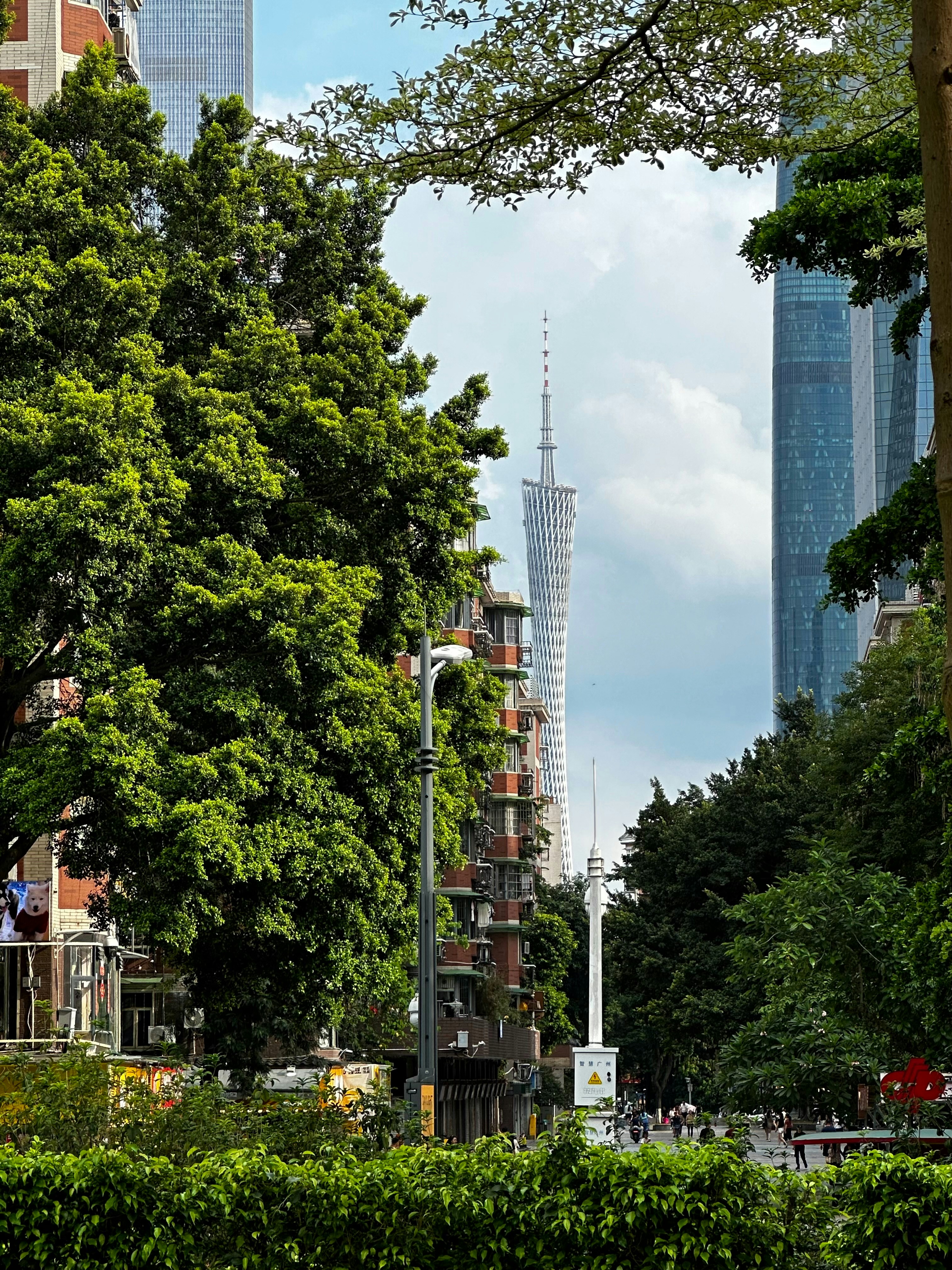 Lattice Spire Rising Over a Tree-Canopied City Street