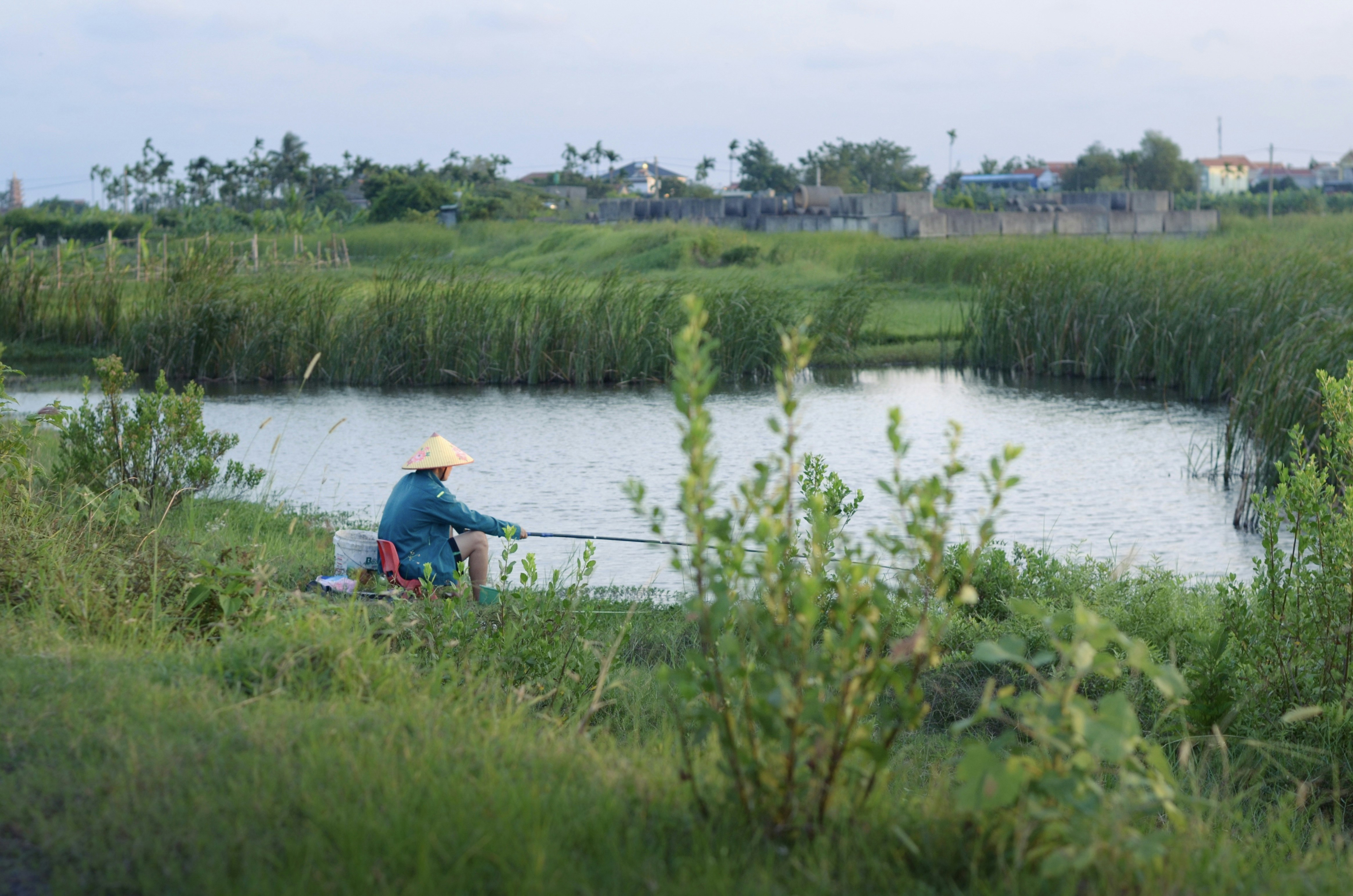 Person fishing by a calm pond surrounded by greenery