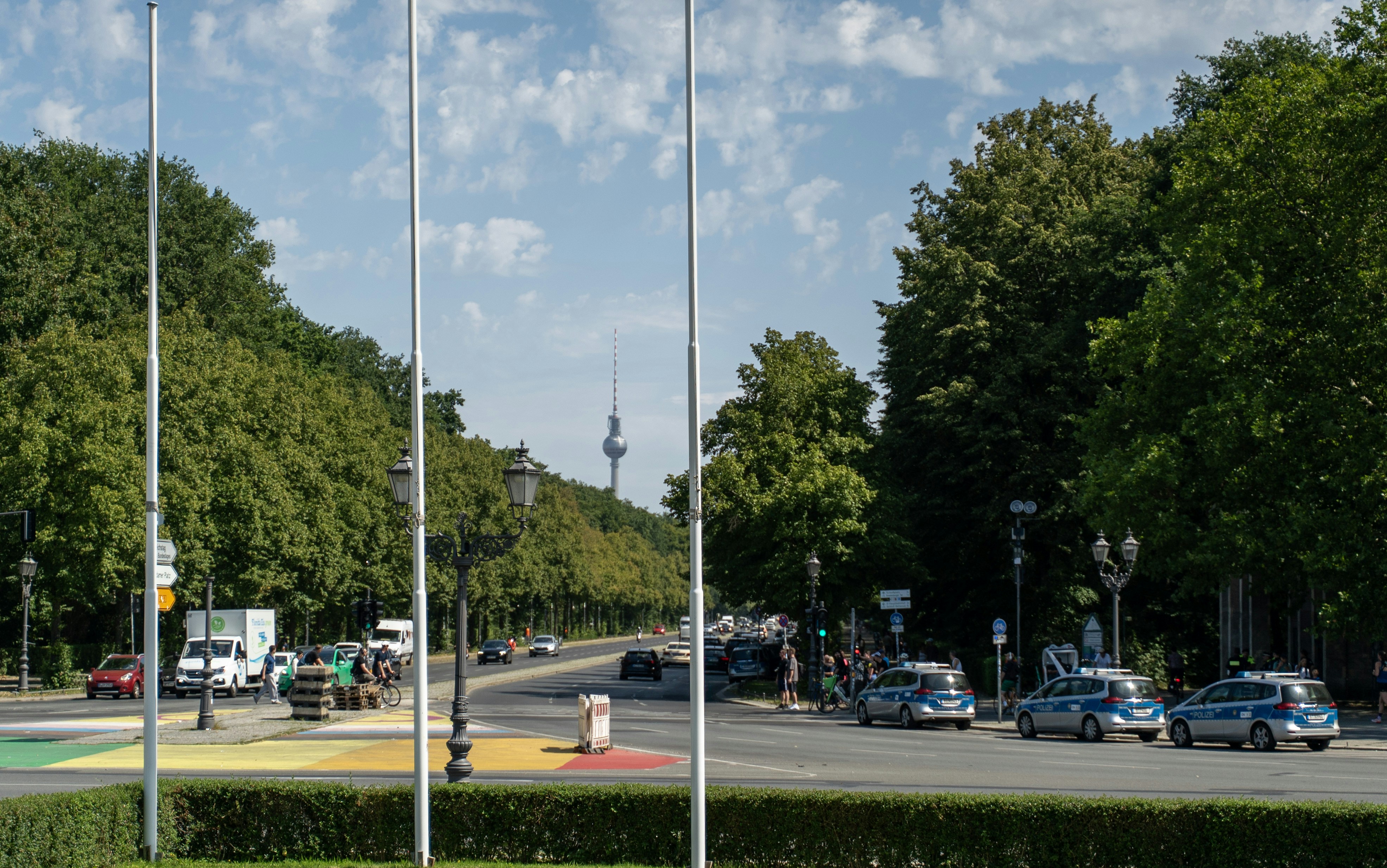 Trees line a street with cars and buildings in the distance.