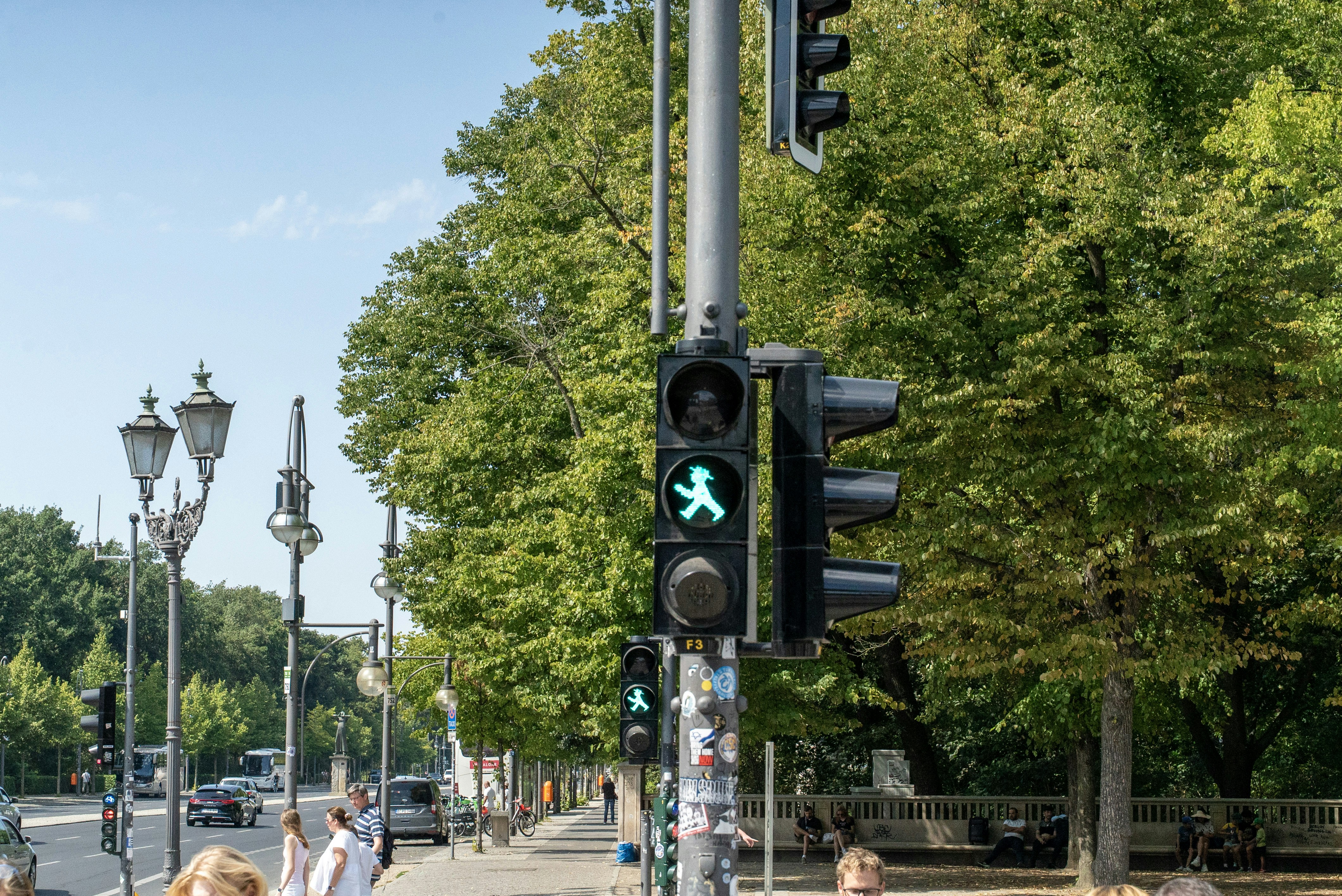 Traffic light showing green with trees in background