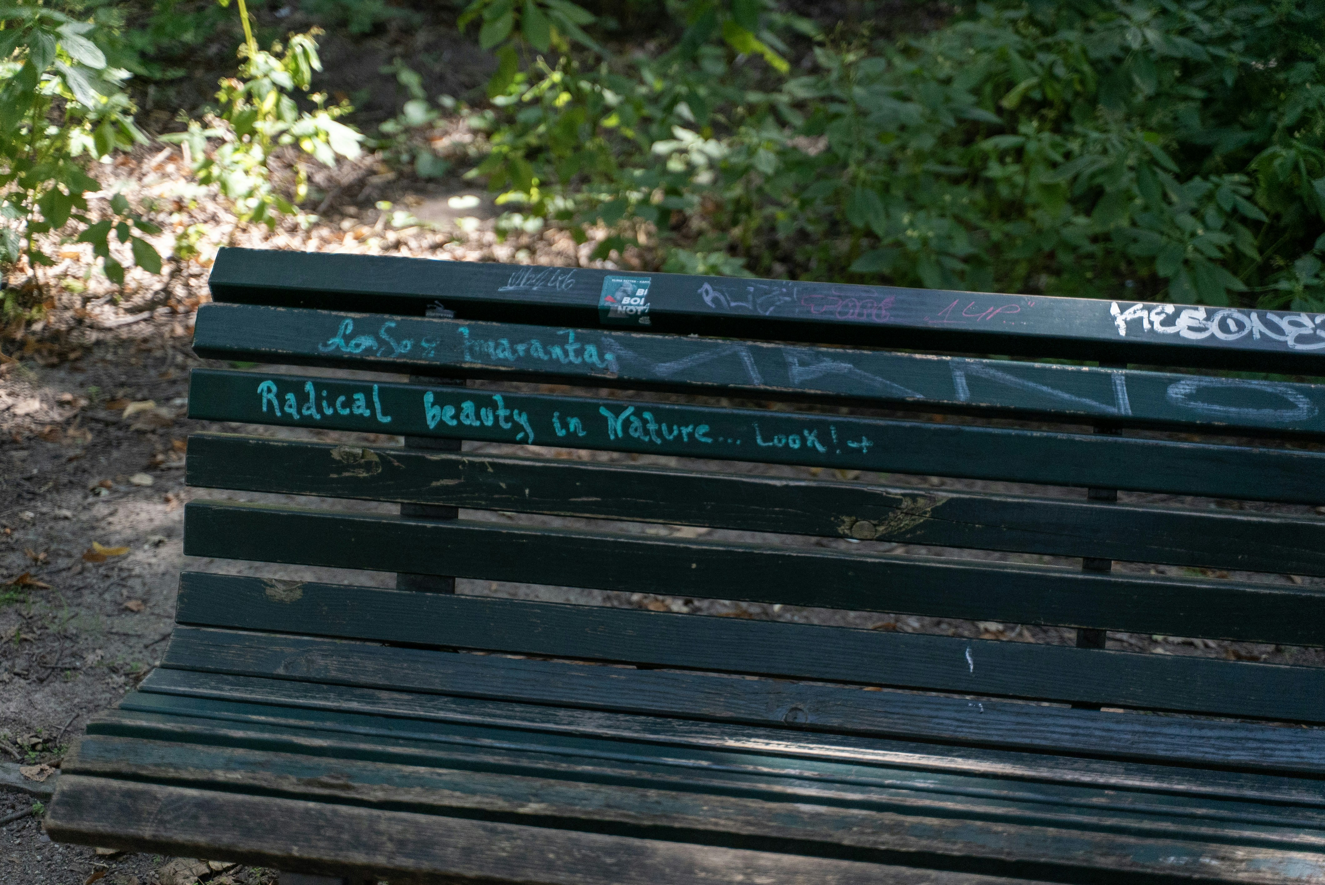 A weathered park bench in a natural setting.