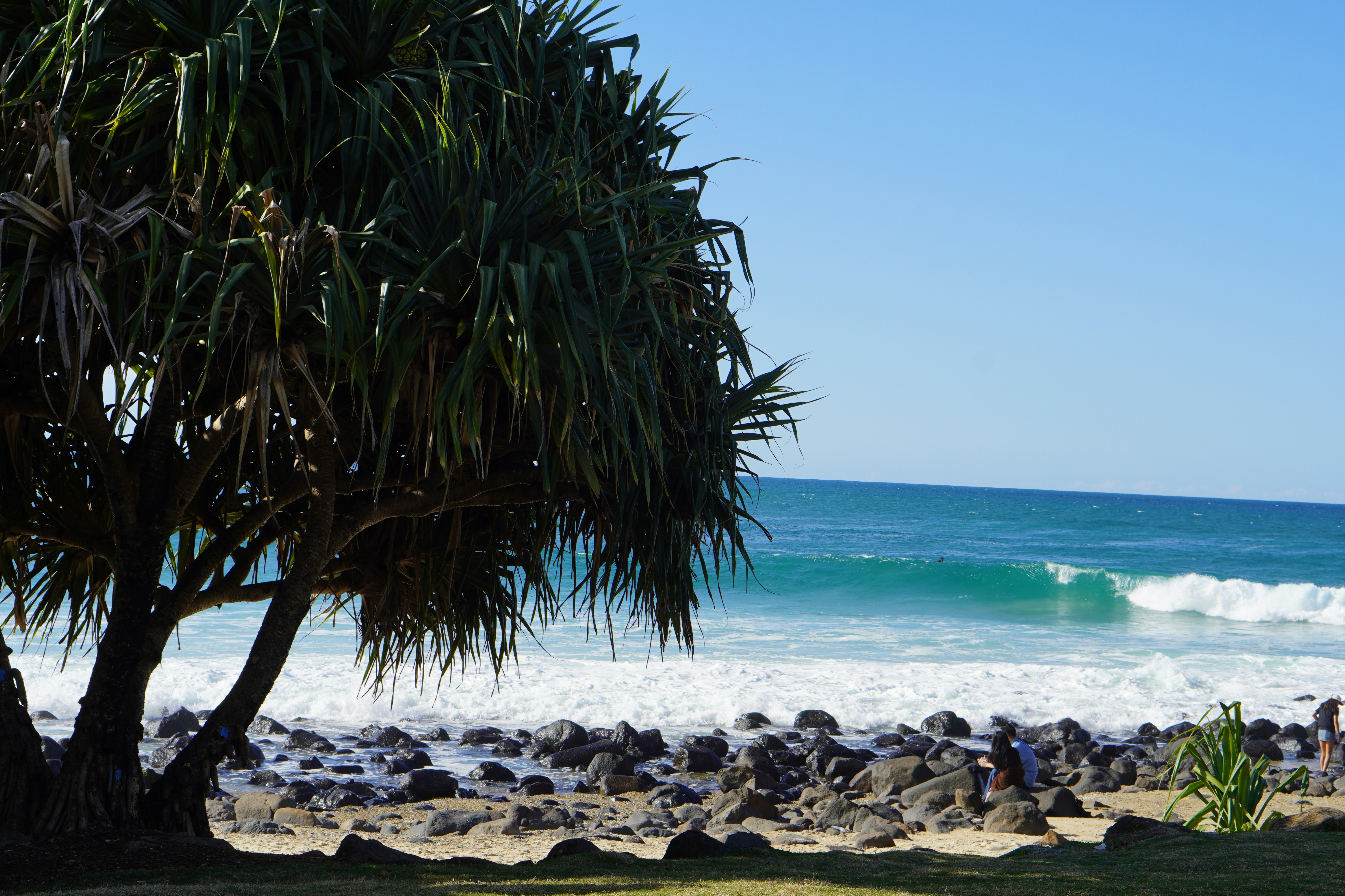 Photo by Ifran Nijhum with Sony Alpha 6400