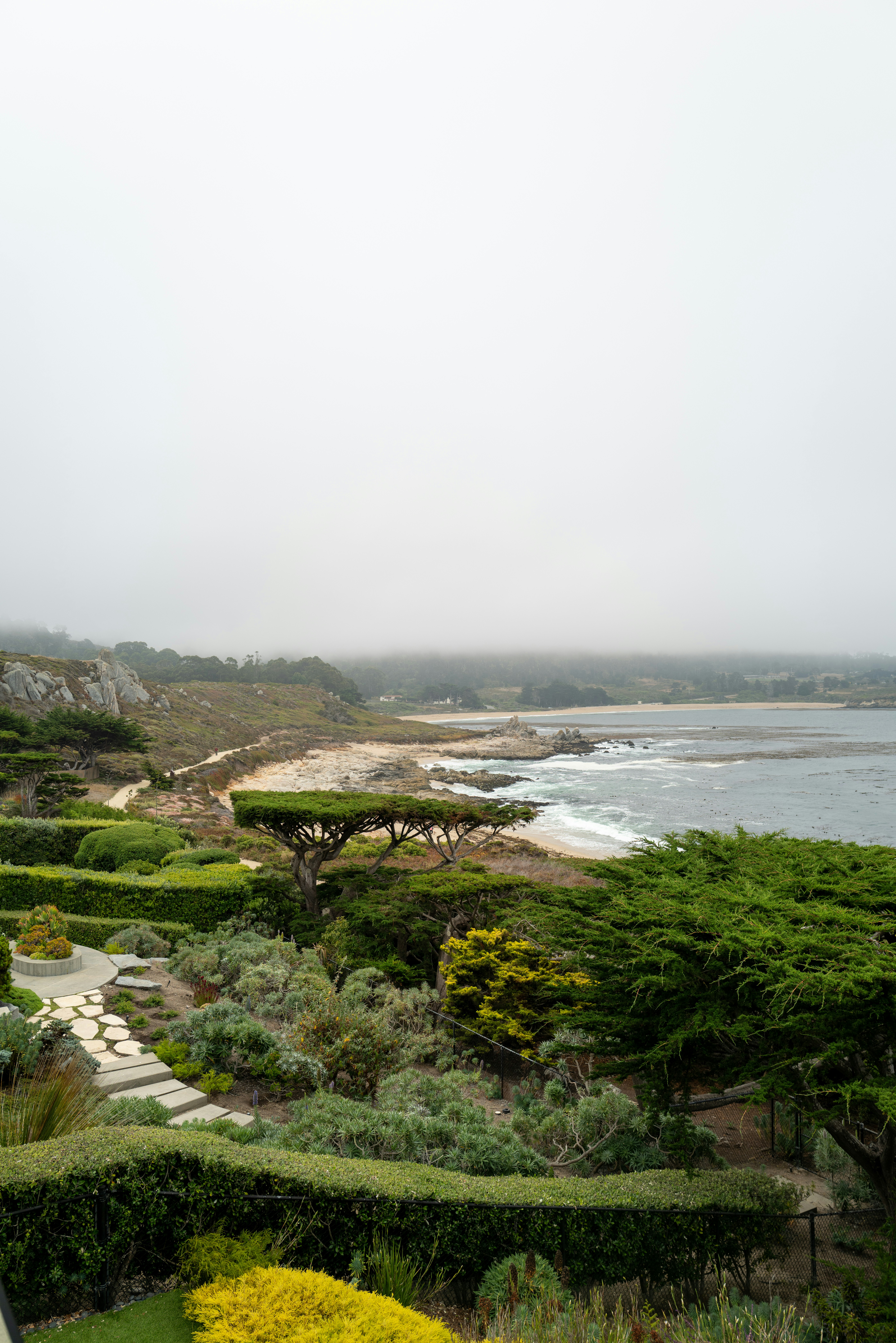 Terraced Coastal Garden Fringed by Mist