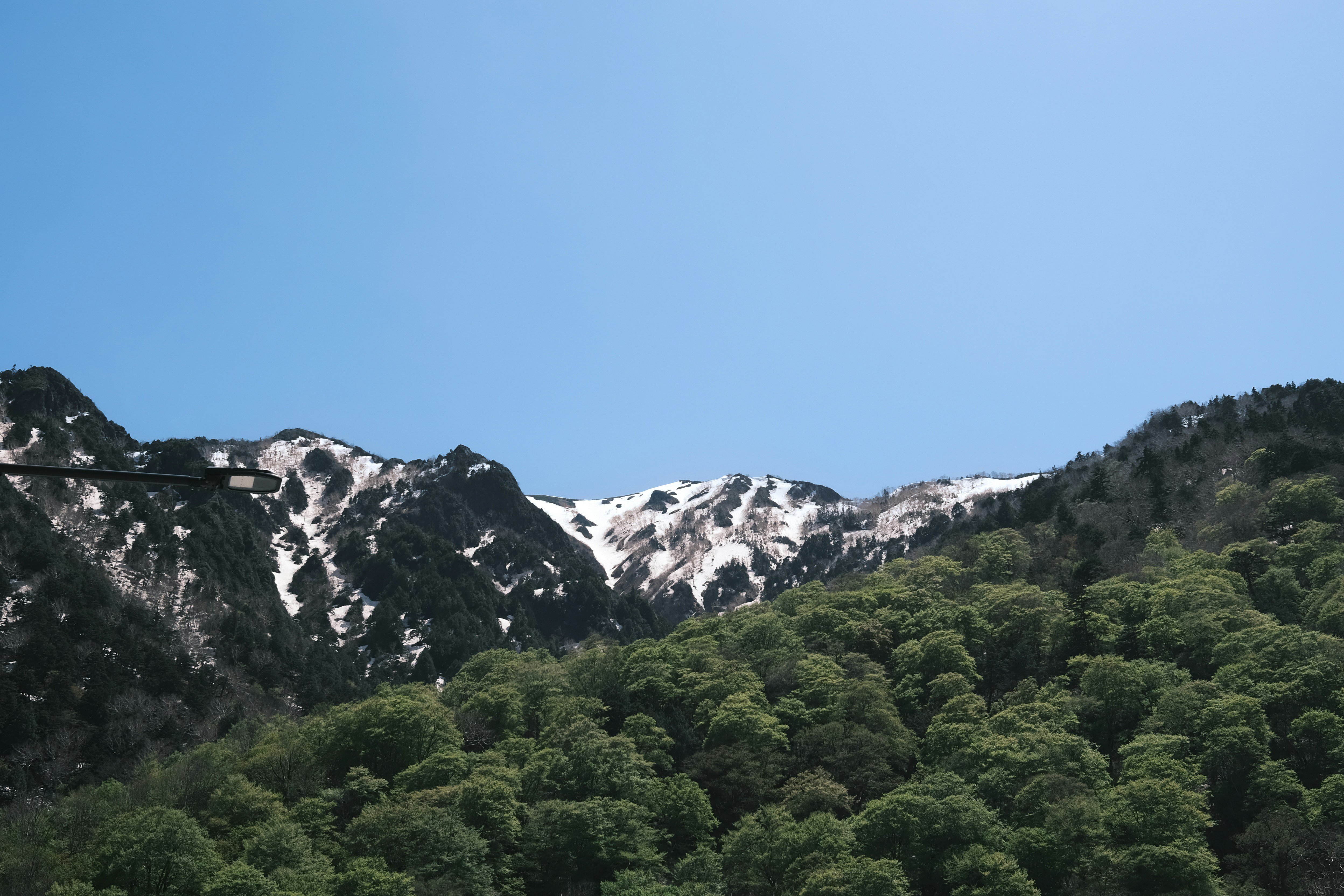 Snow-capped mountains rise above lush green trees