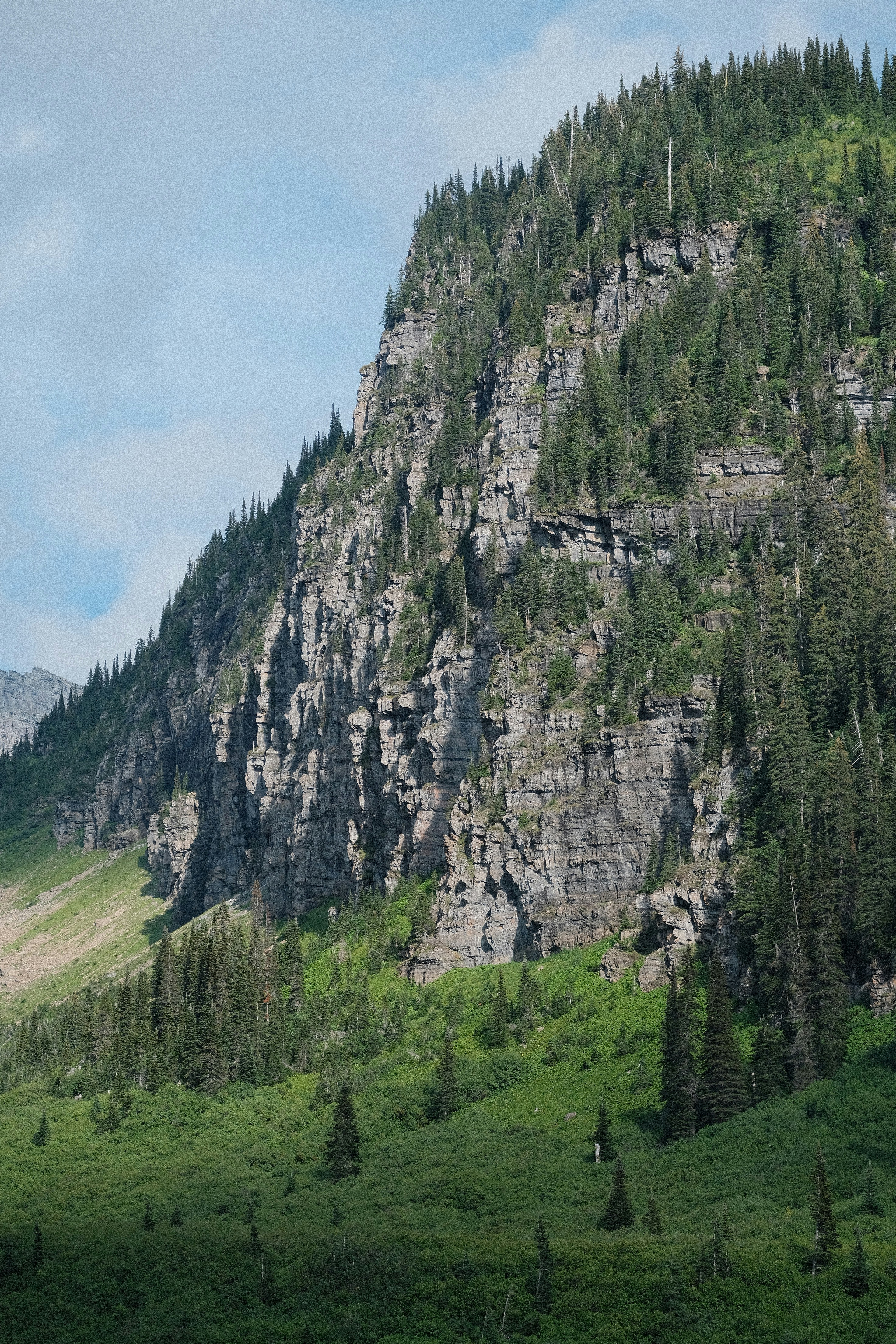 Rugged mountain cliff face covered in green trees