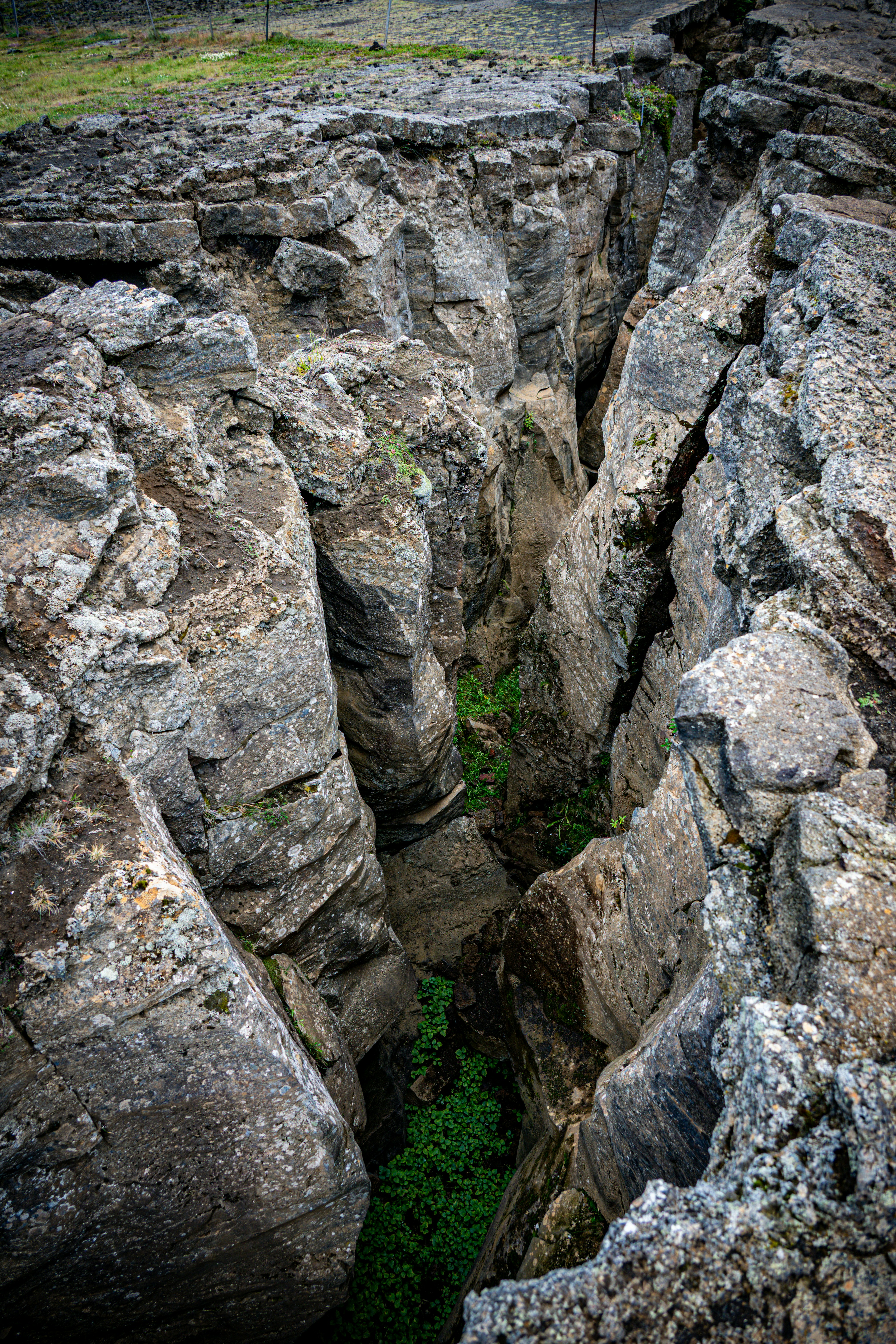 Deep canyon carved into rugged rock formations, with vibrant green foliage peeking through the crevices.