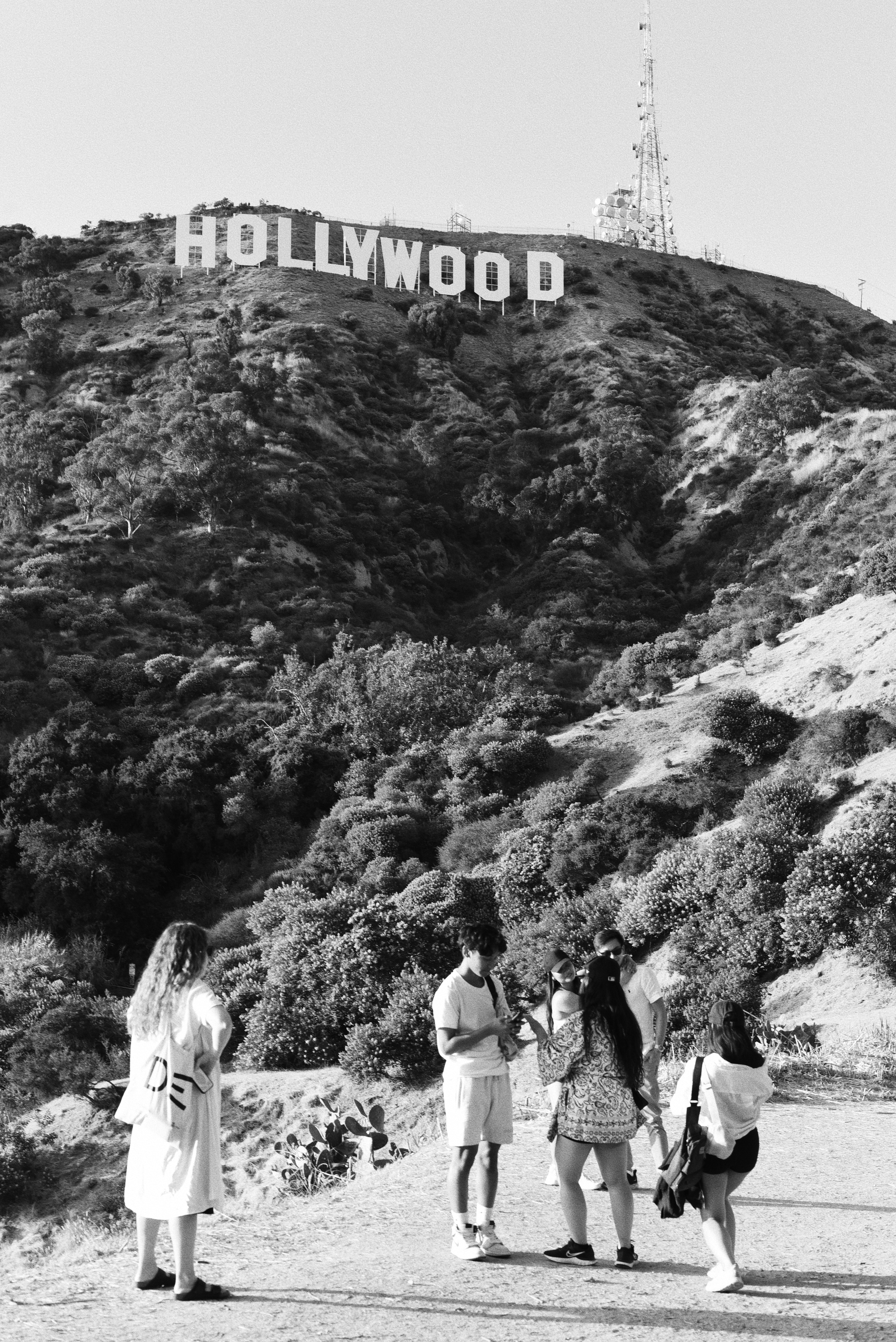 Echoes of Stardom: A Day at the Hollywood Hills
