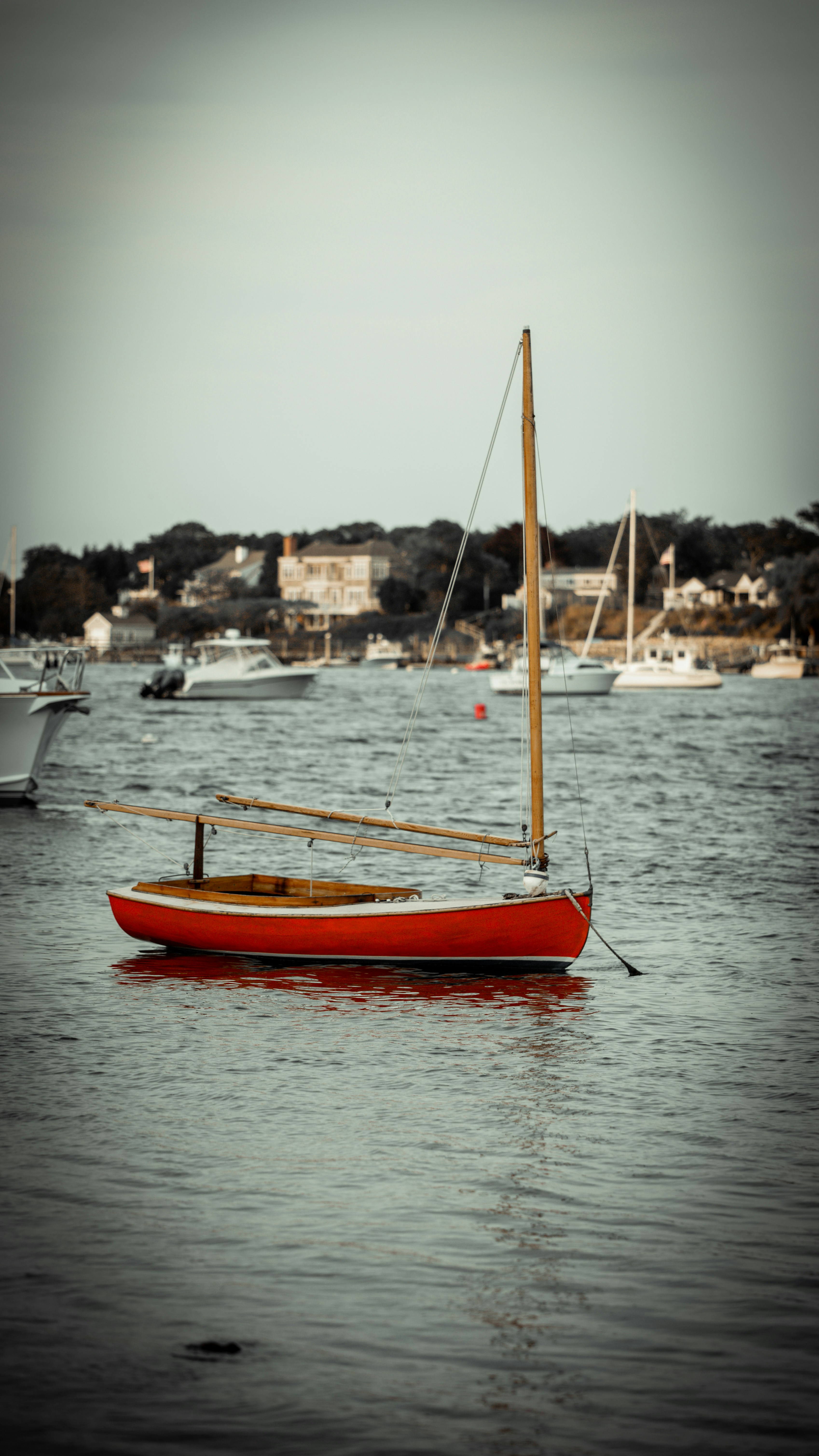 Sailing Serenity: A Solo Vessel's Journey