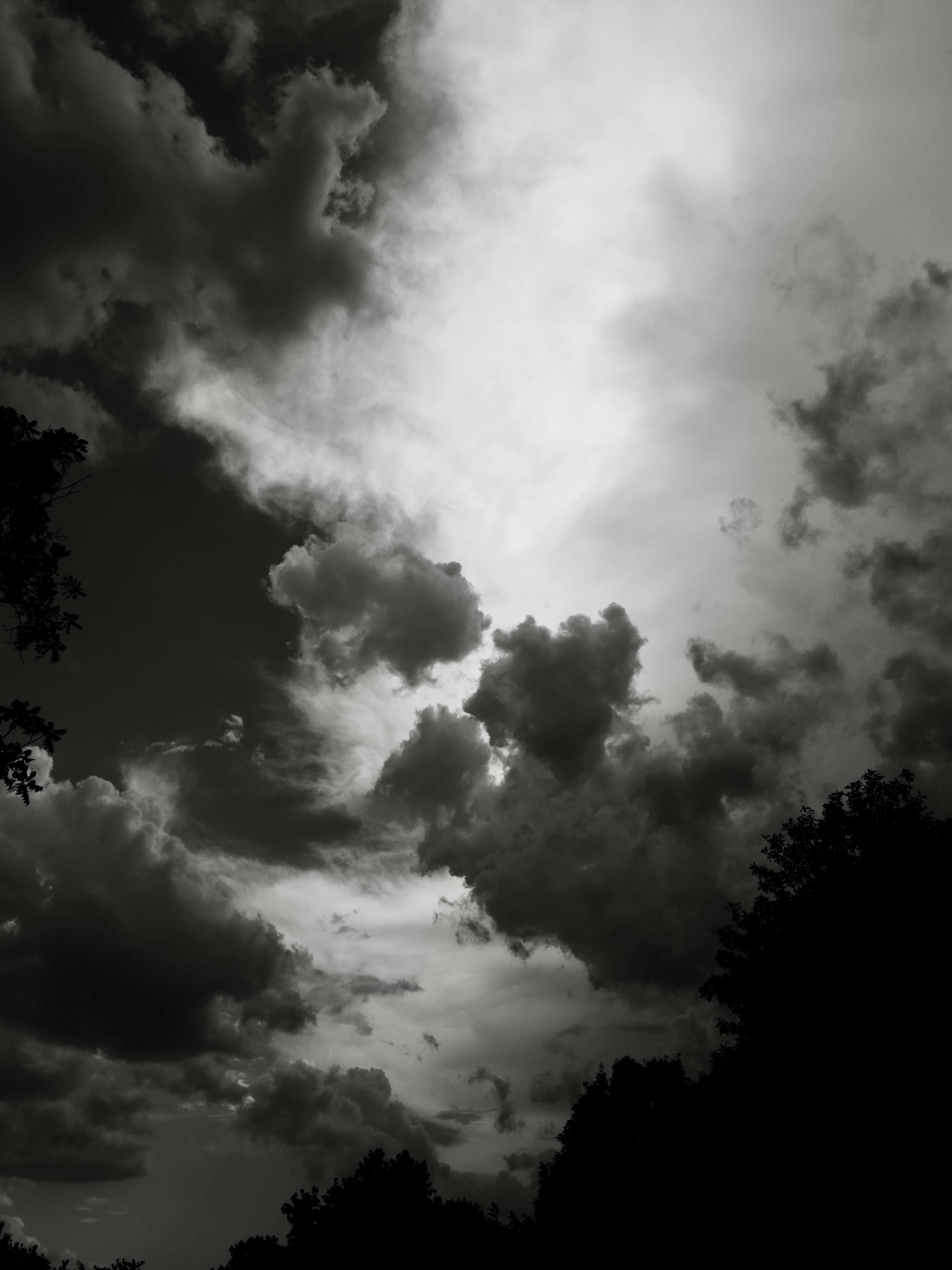 Storm clouds | Dramatic dark clouds fill the sky above trees below trees below trees below trees below trees below trees silhouette