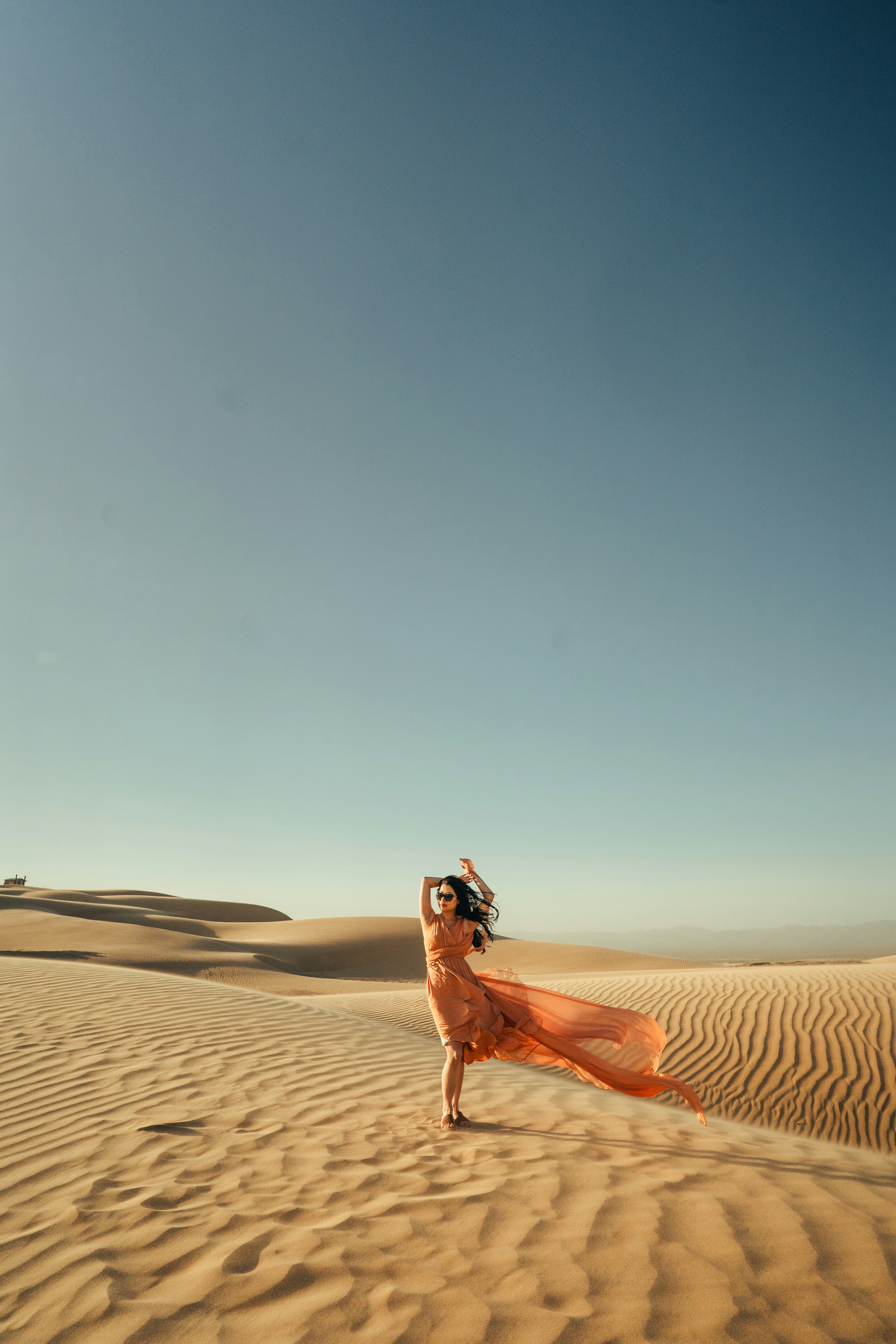 Graceful Dance Amidst the Sands