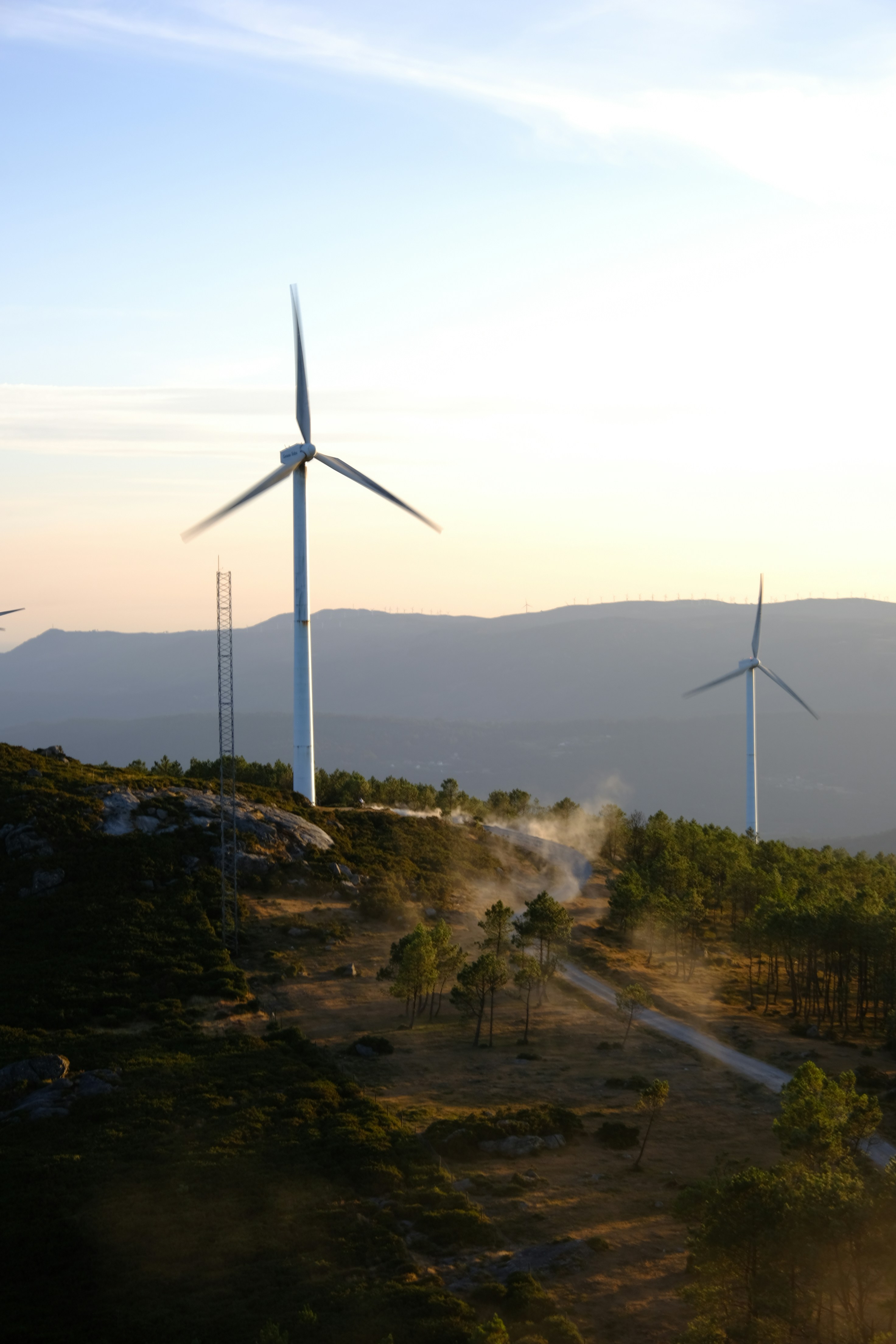 Harnessing Nature's Breath: The Dance of Wind Turbines