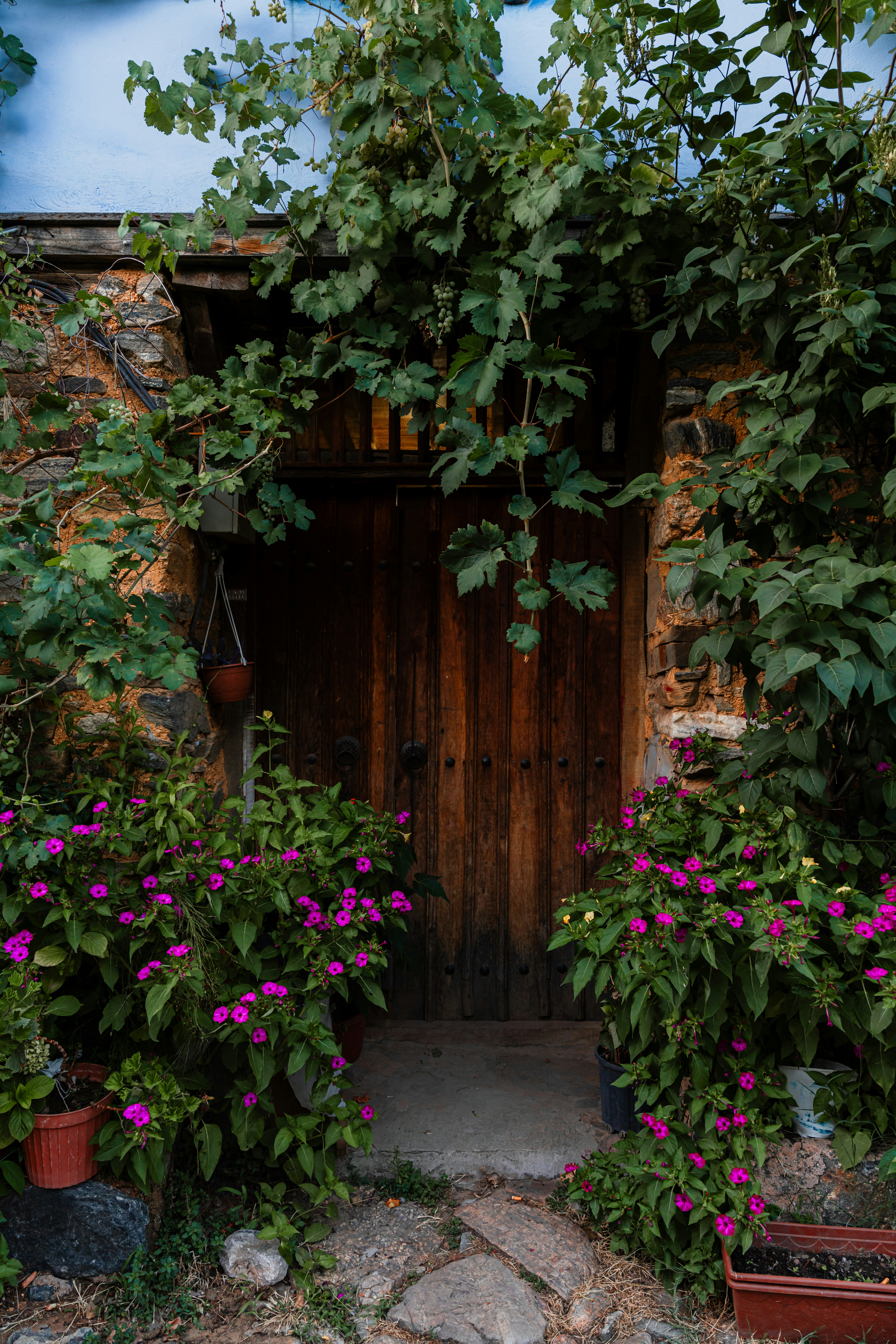 Wooden doors framed by lush greenery and flowers.