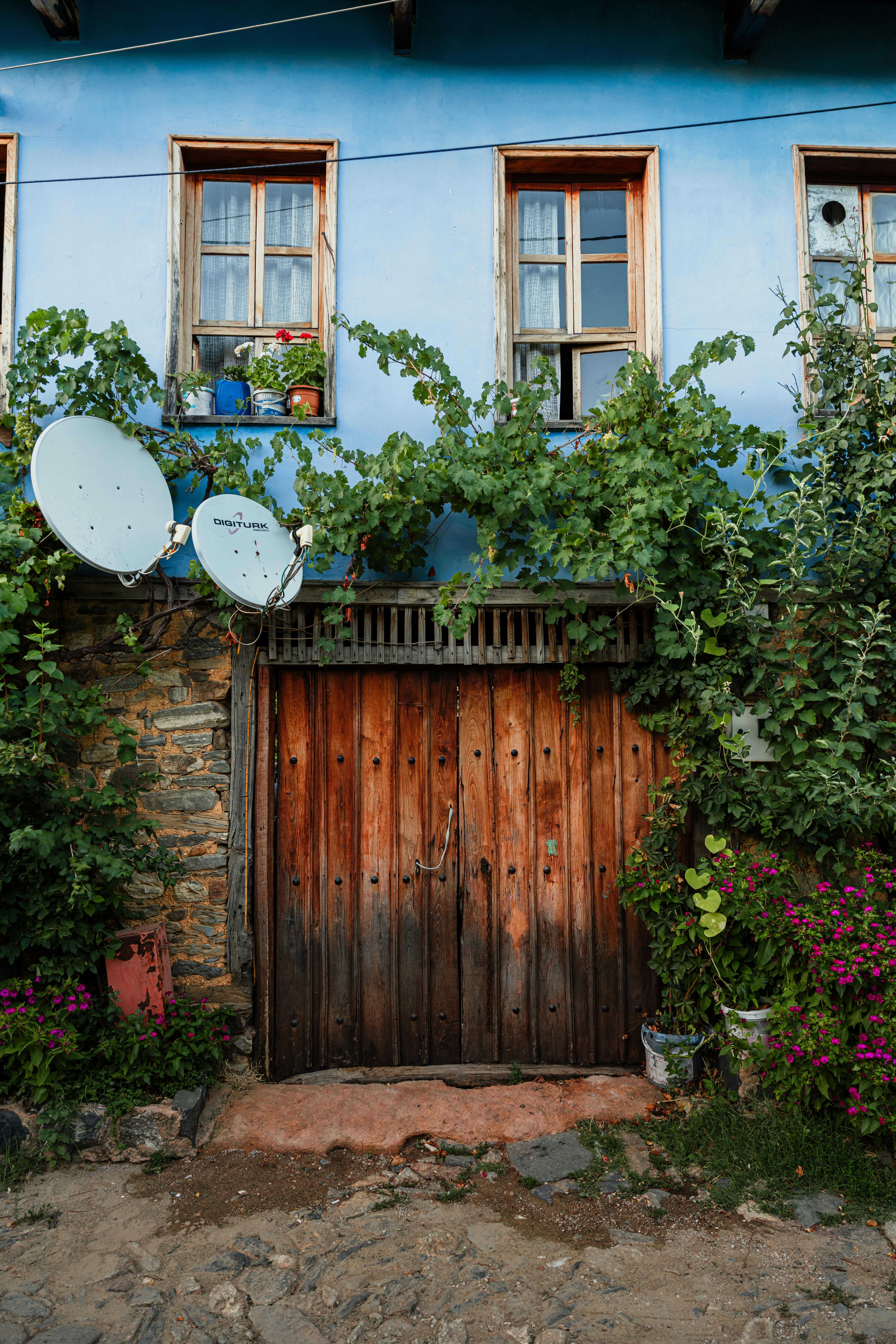 Weathered wooden door framed by vibrant greenery and colorful flower pots beneath a blue facade. Two satellite dishes contrast with the rustic charm.