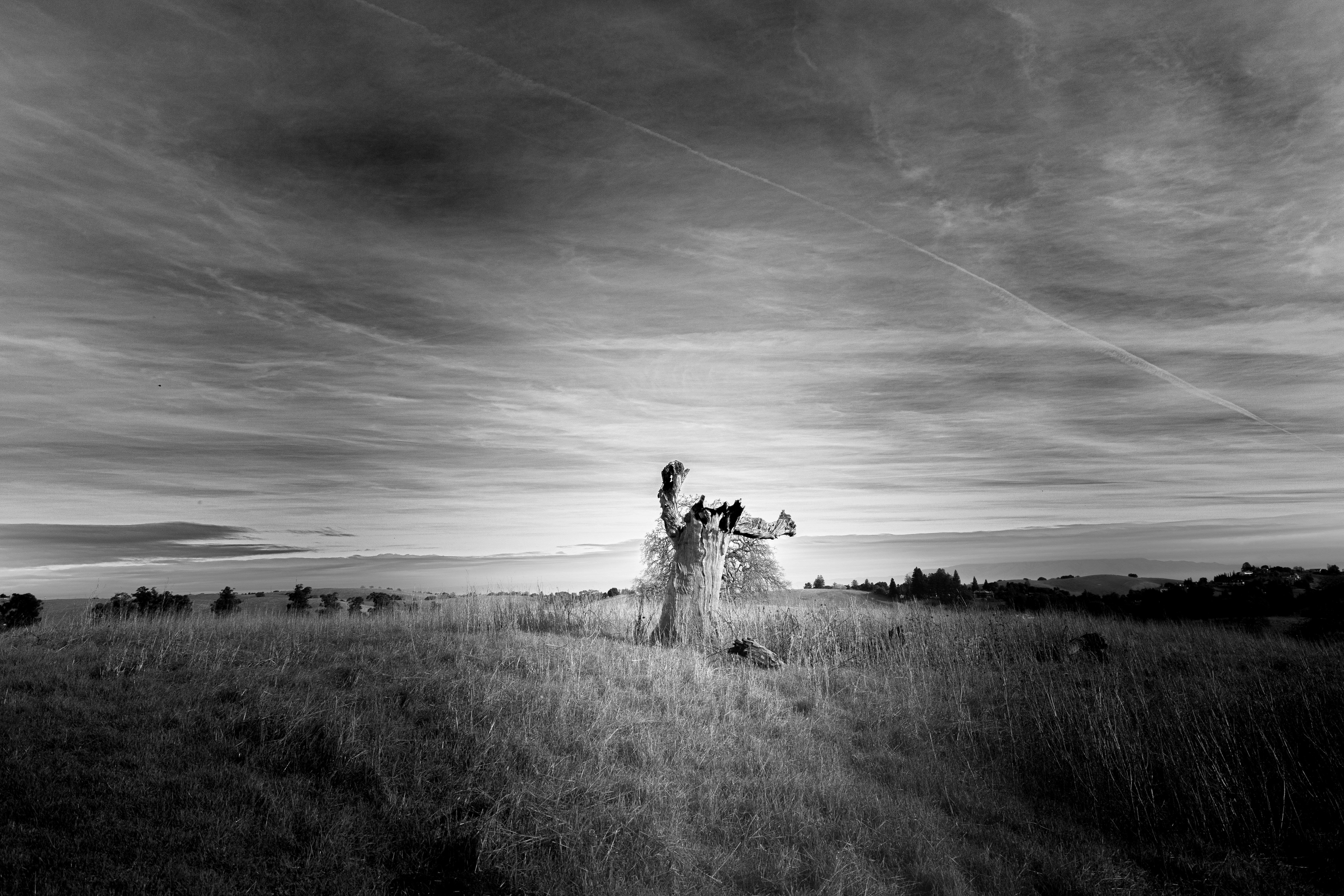 Couple embracing in a field at sunset