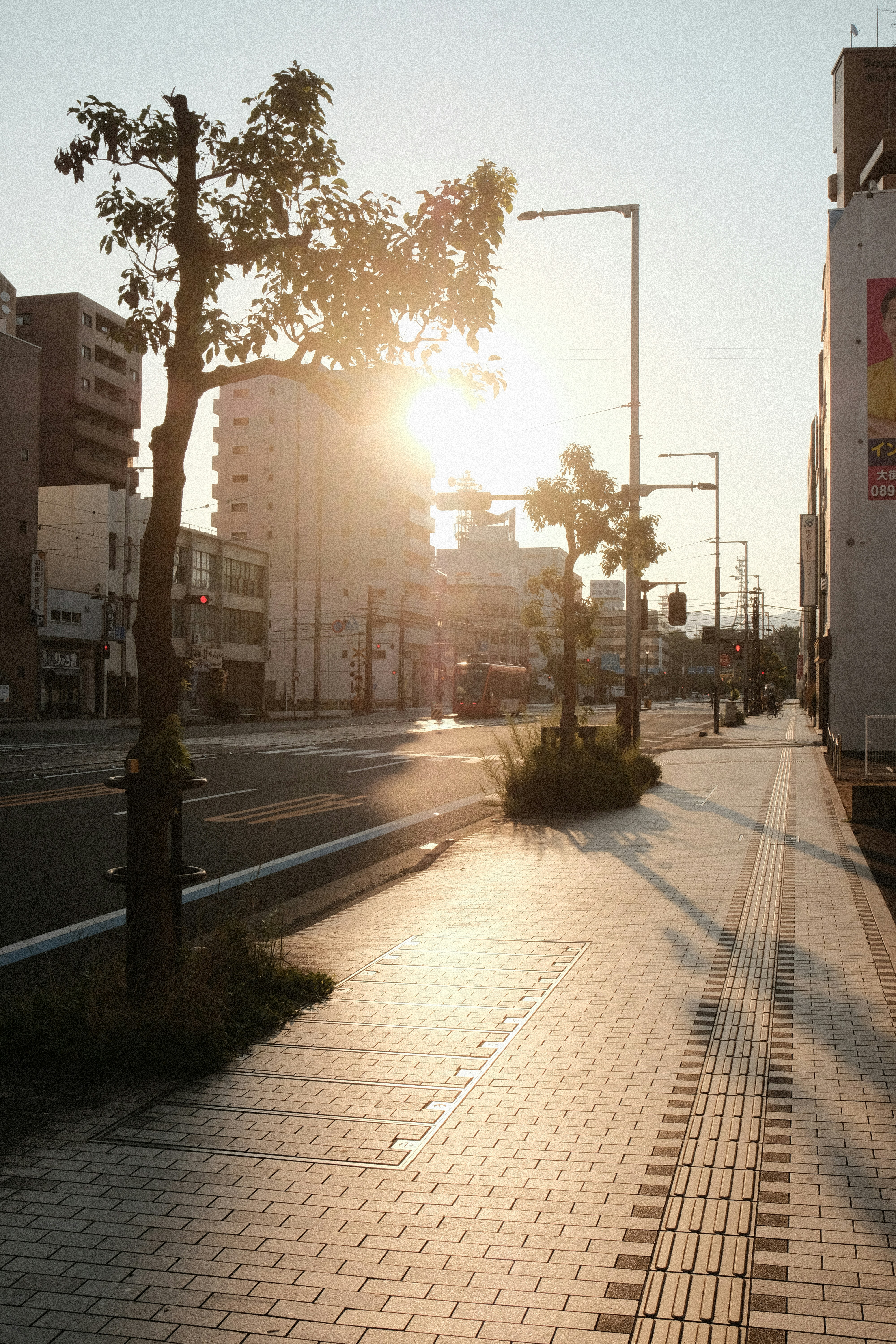 Sunlight streams down a city street sidewalk.