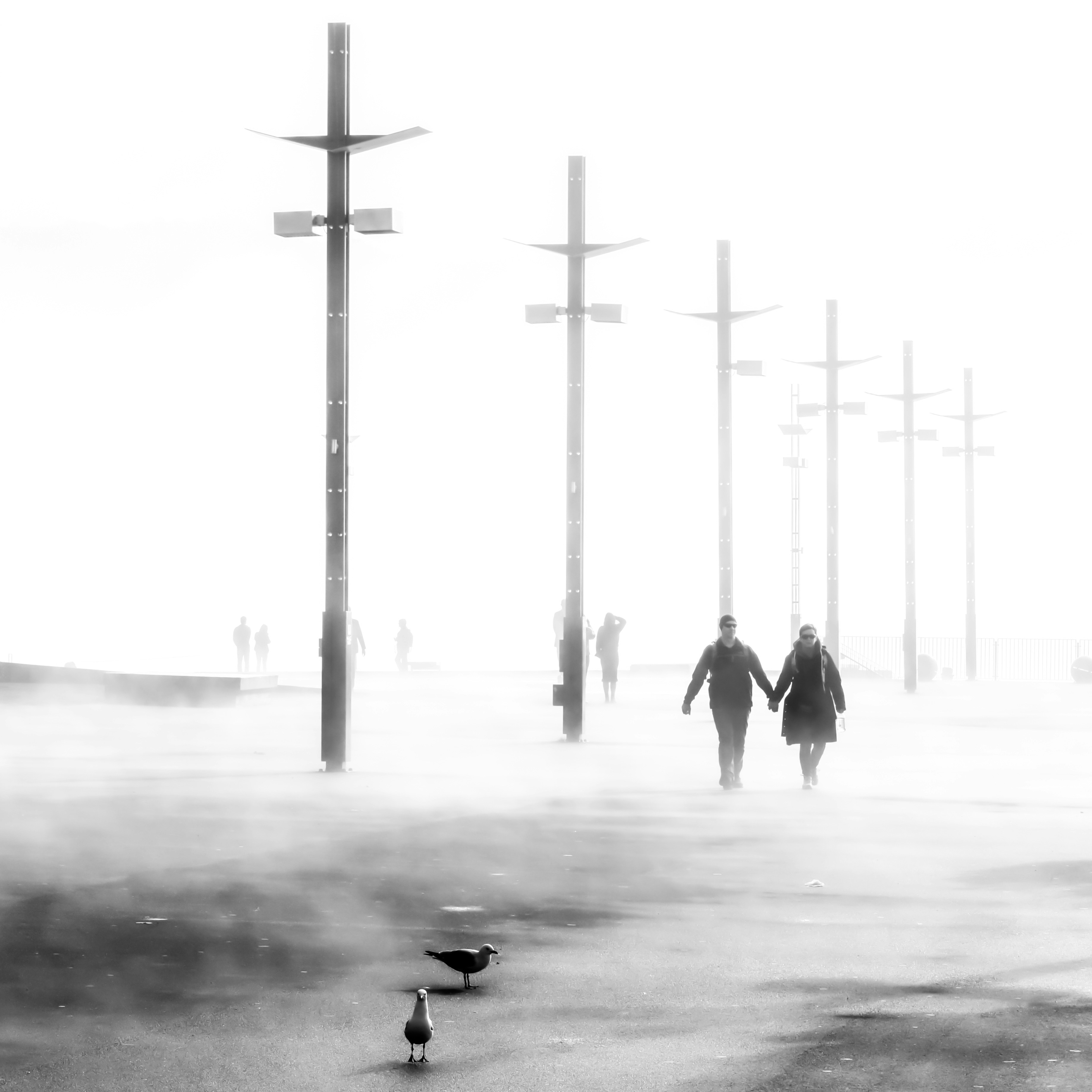 A couple and two seagulls in fog | Couple walking hand-in-hand on foggy day with poles