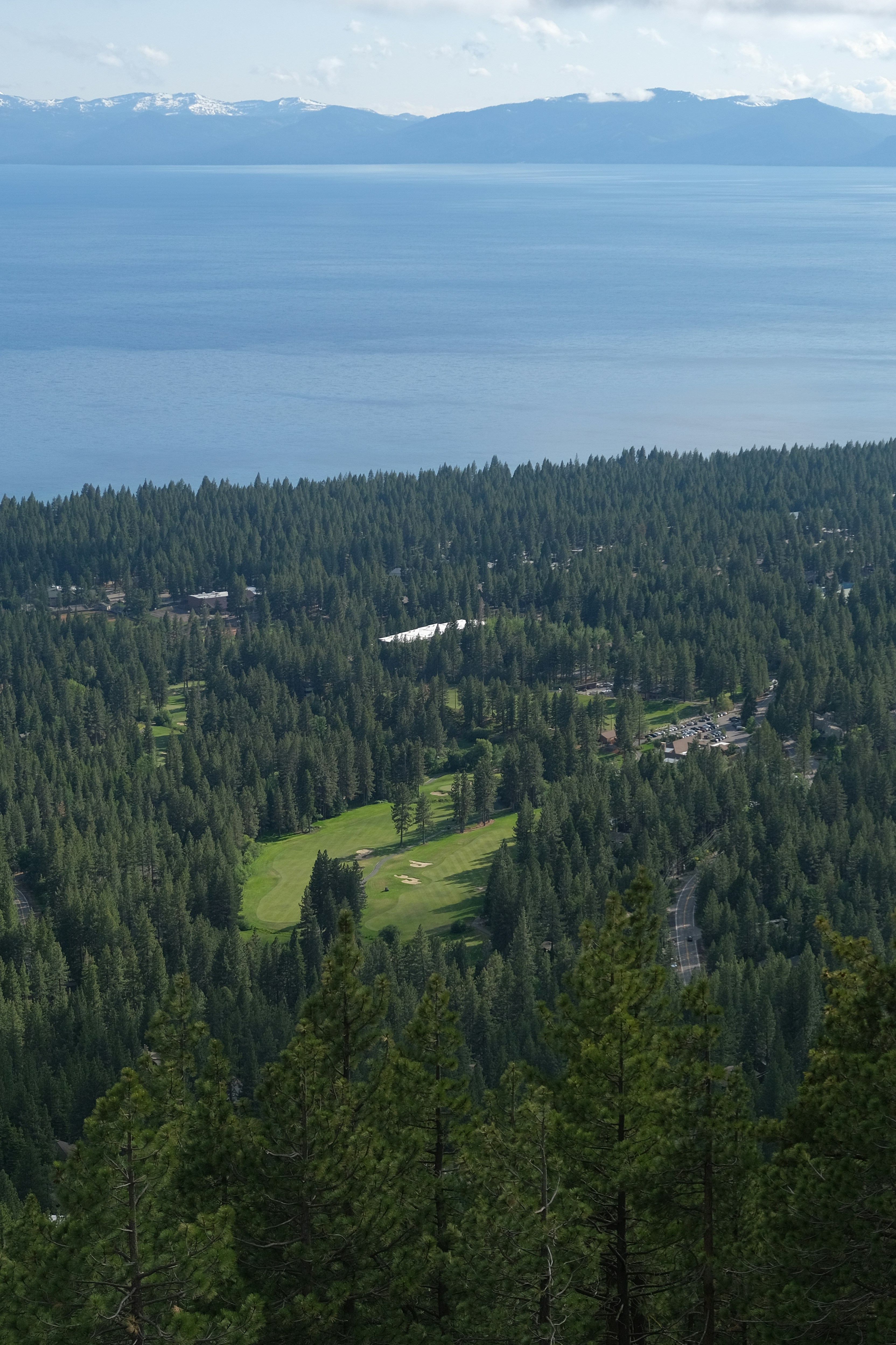 Golf course nestled in a dense pine forest by a lake.