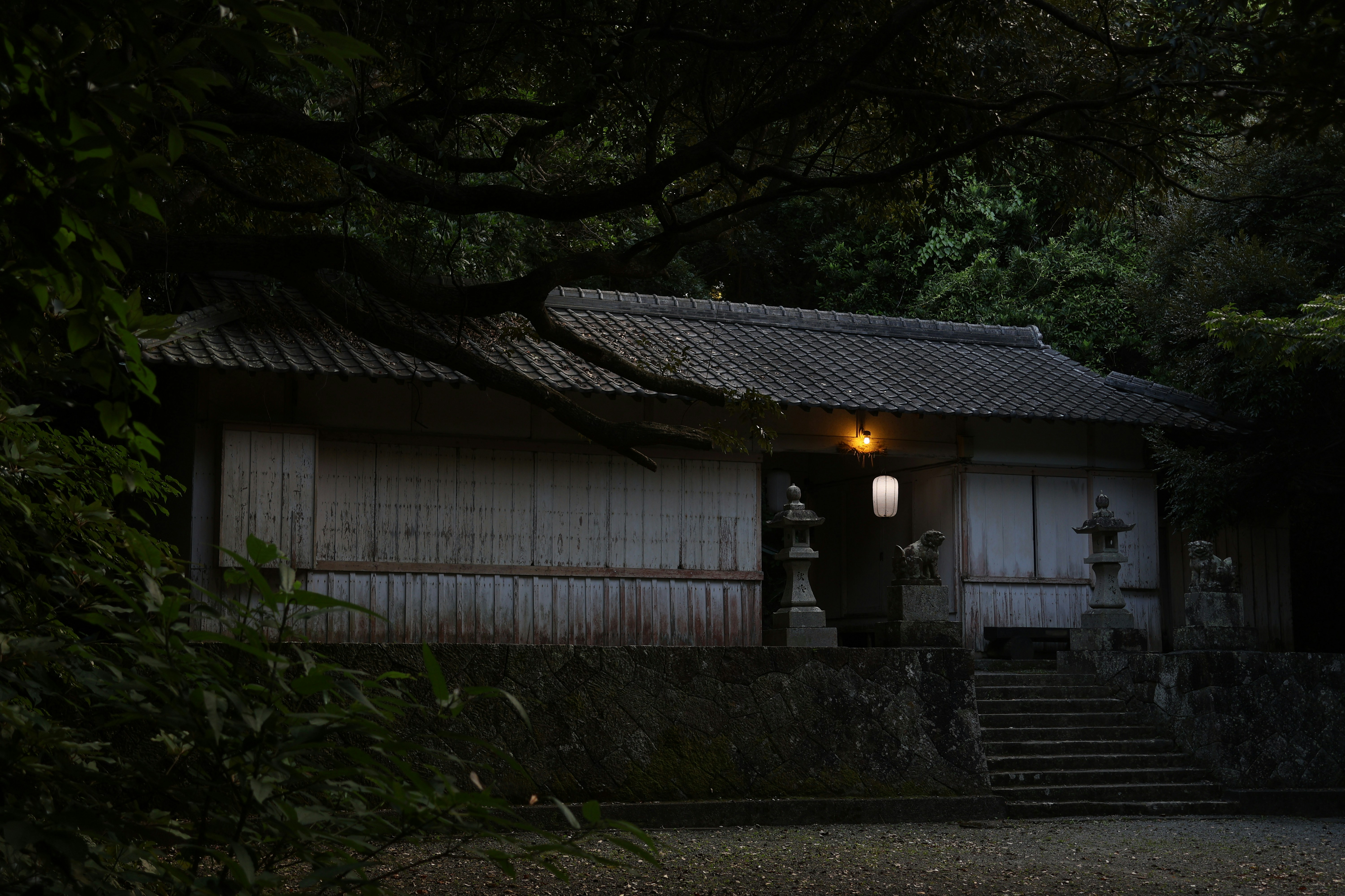 Small house illuminated at dusk with trees